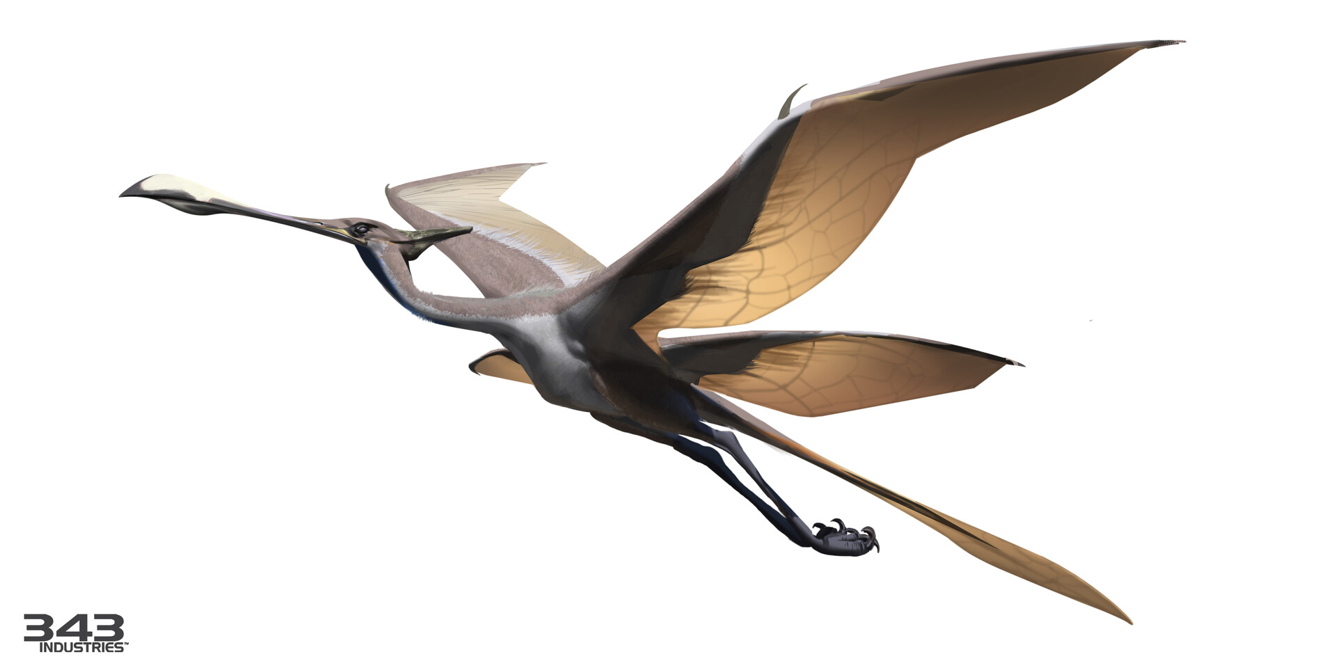 David Heidhoff - Halo Encyclopedia Creatures