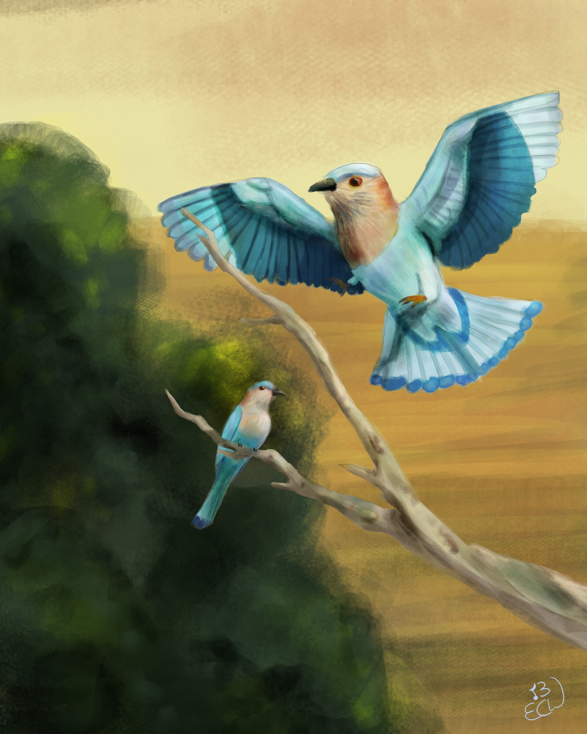 ArtStation - Indian Roller