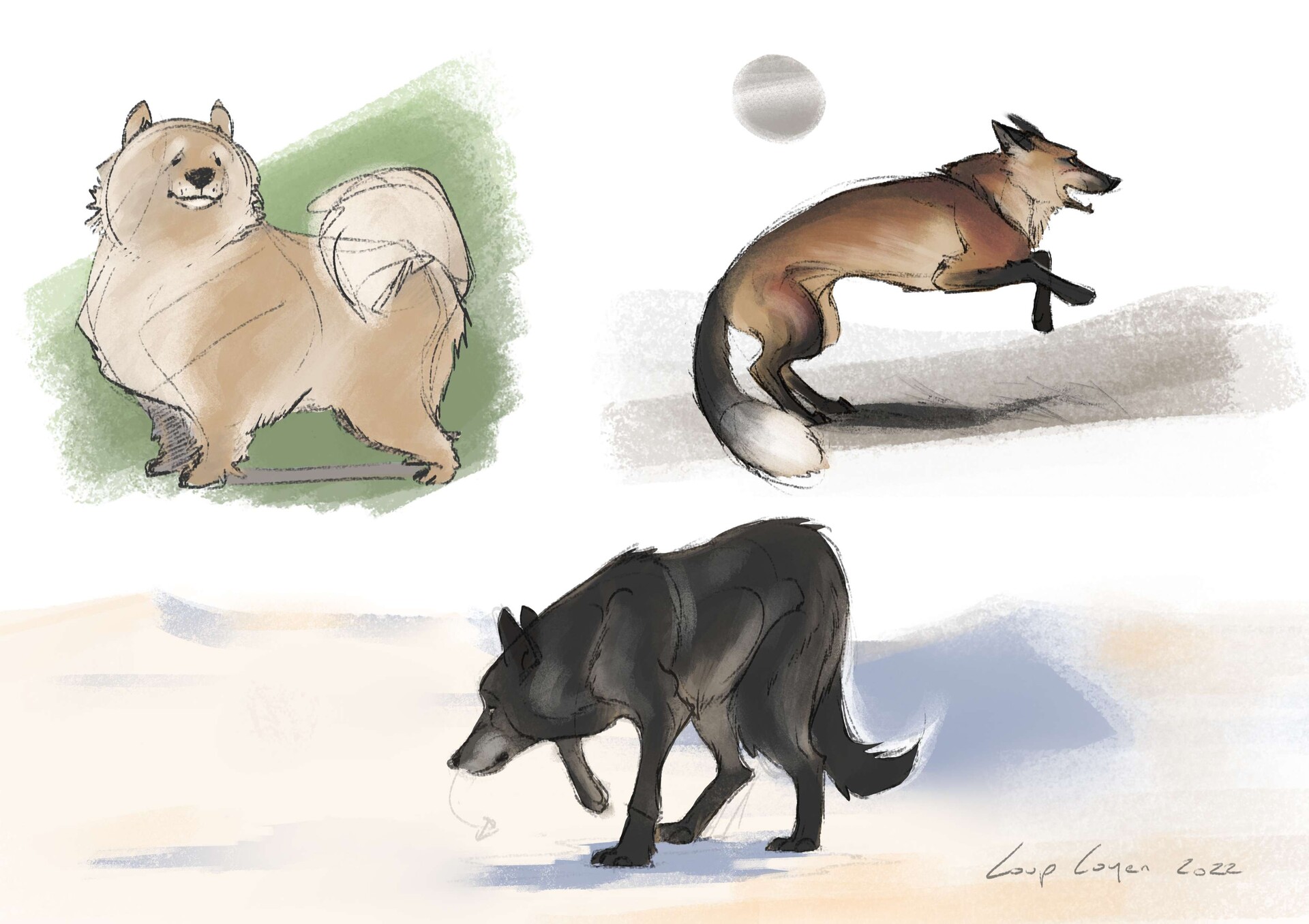 ArtStation - Sketching canids