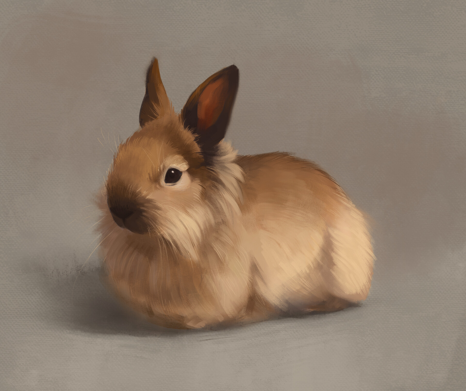 ArtStation - bunny day