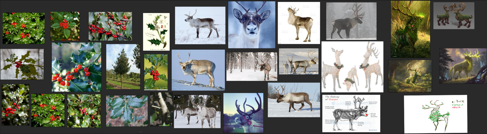 Jacqueline Ransom - Plant Elemental - Reindeer and Holly