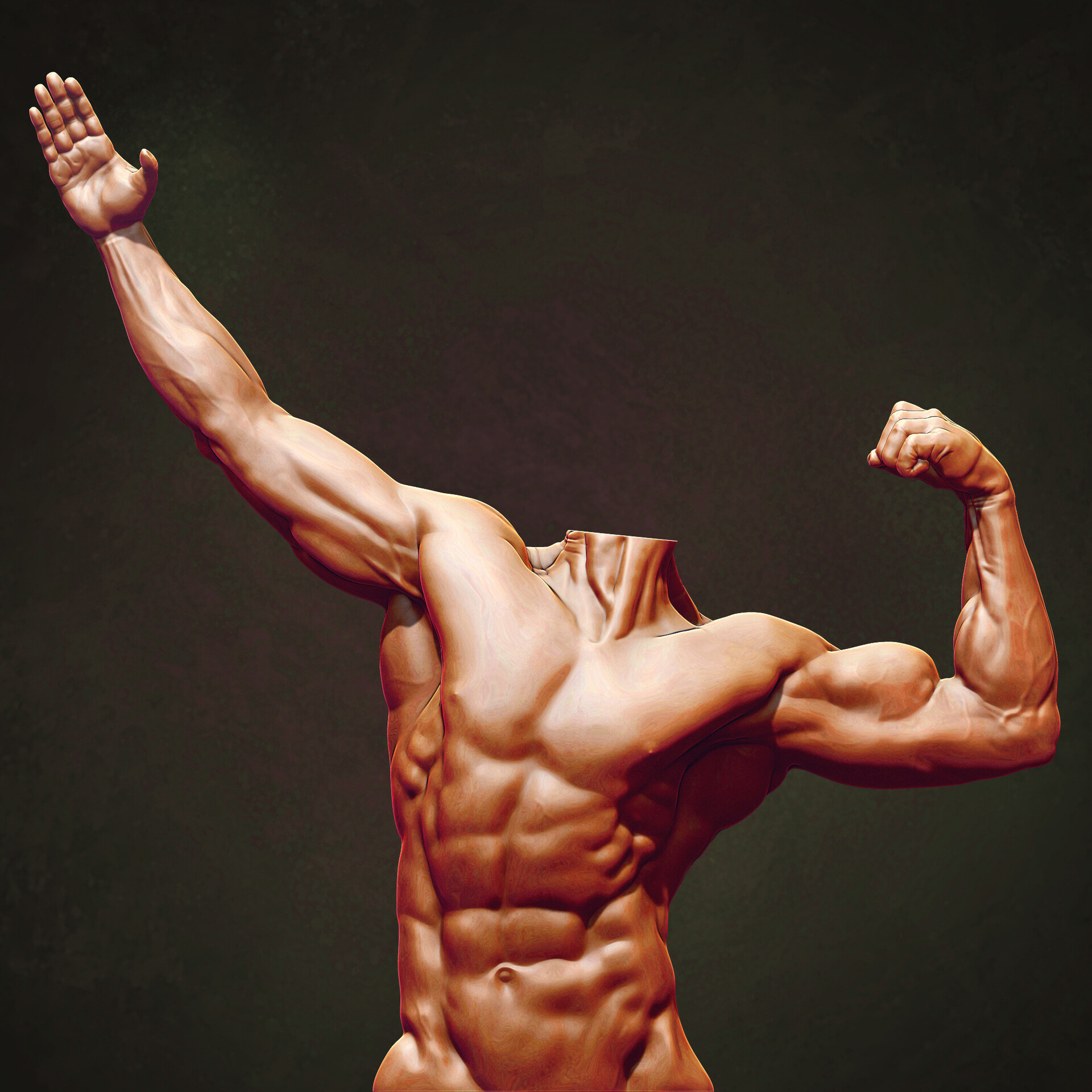 ArtStation - Upper Torso Study