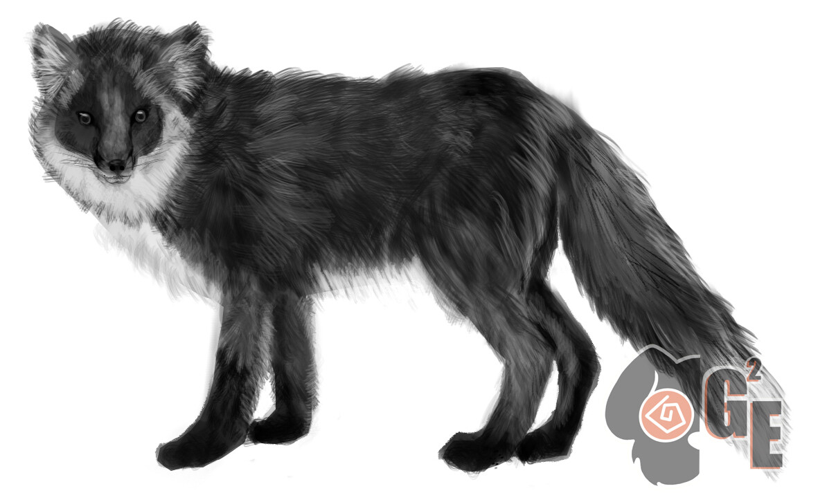 Gemma Espinosa - Fox Studies