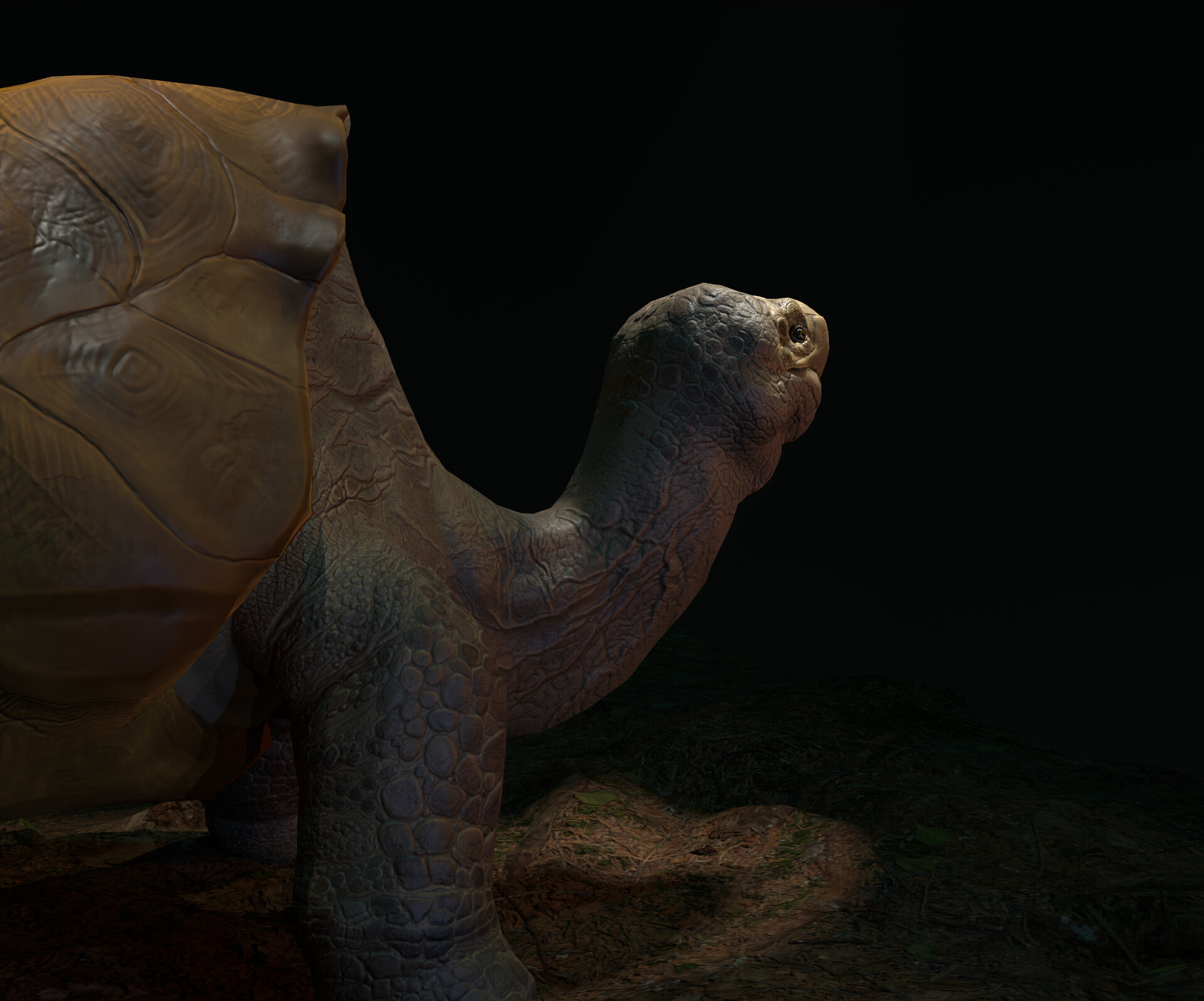 ArtStation - Galapagos Tortoise WIP