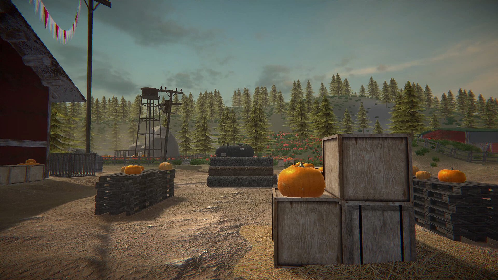 Mubasher Amer - Pumpkin Farm -- Shooting Environment