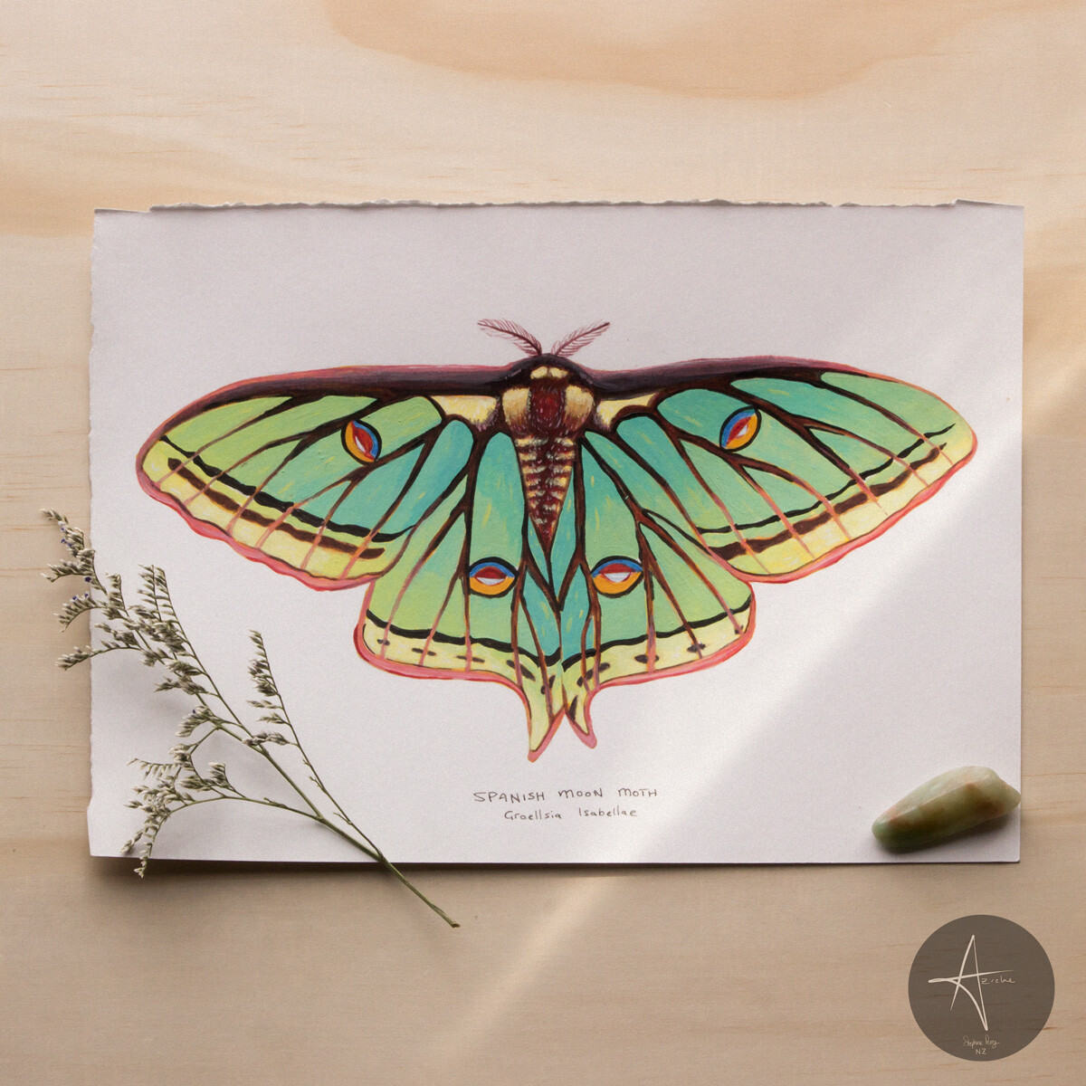 ArtStation - Butterflies & Moths - Part 1