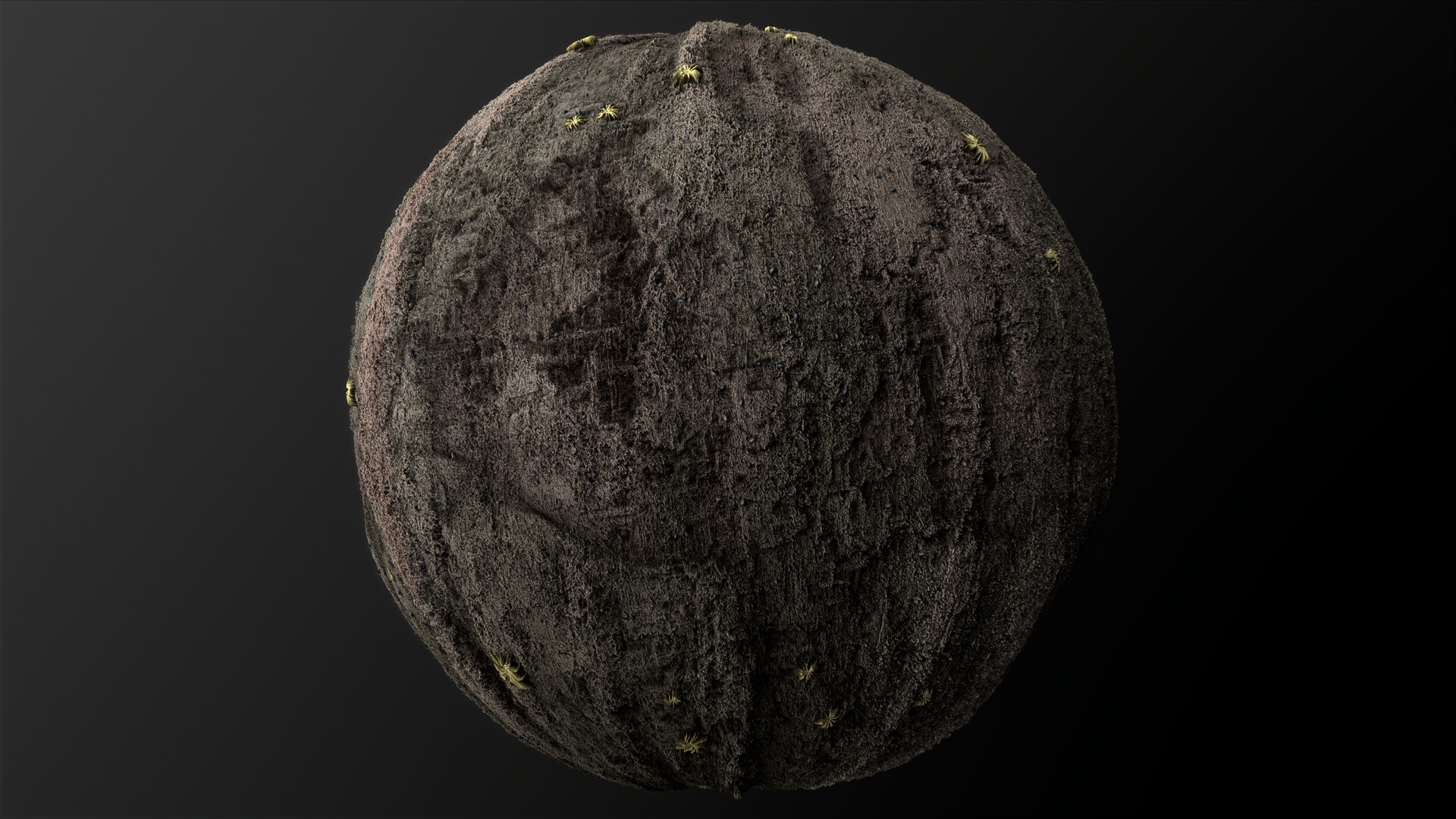 ArtStation - Dried Path