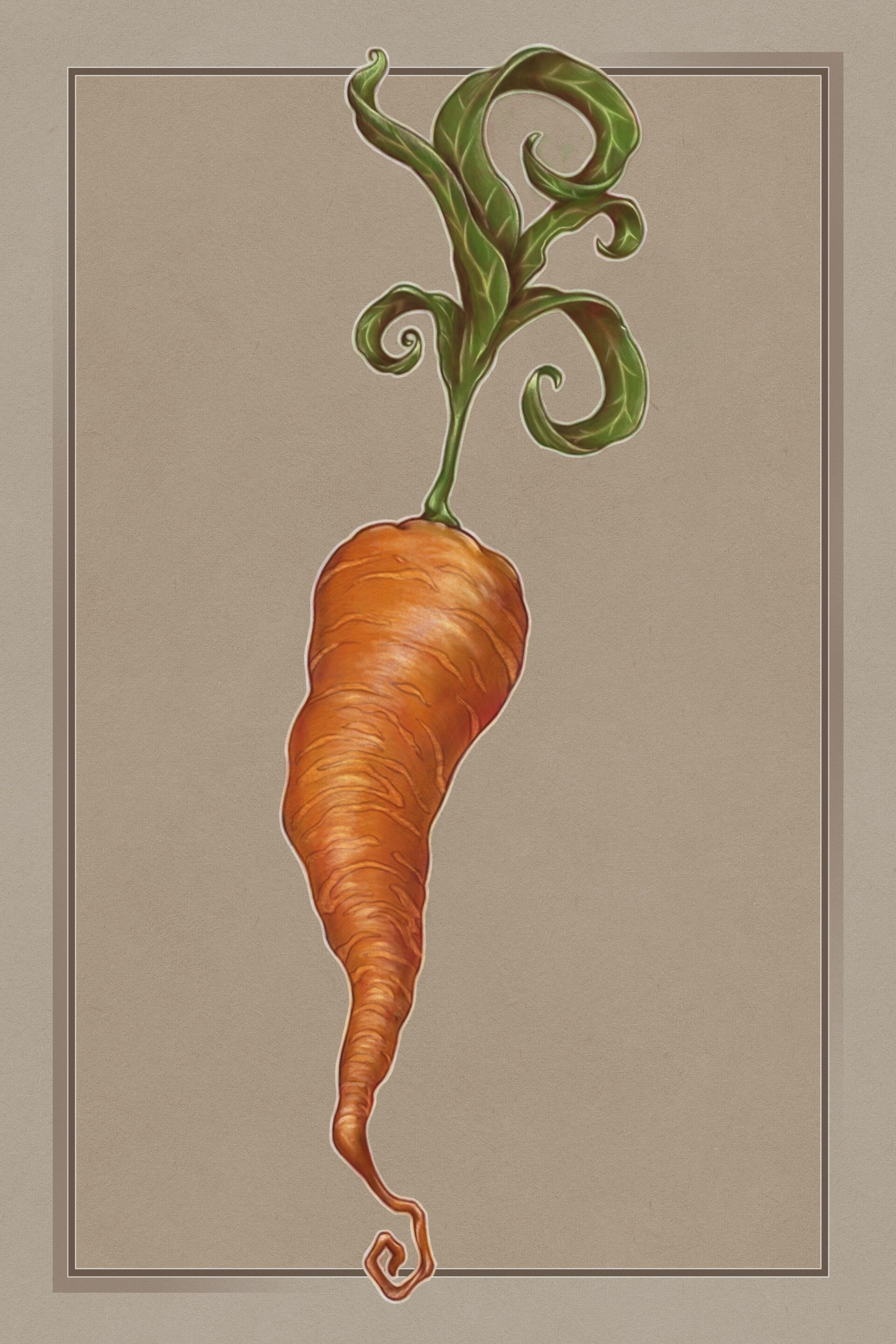 Carrot Botanical Drawing