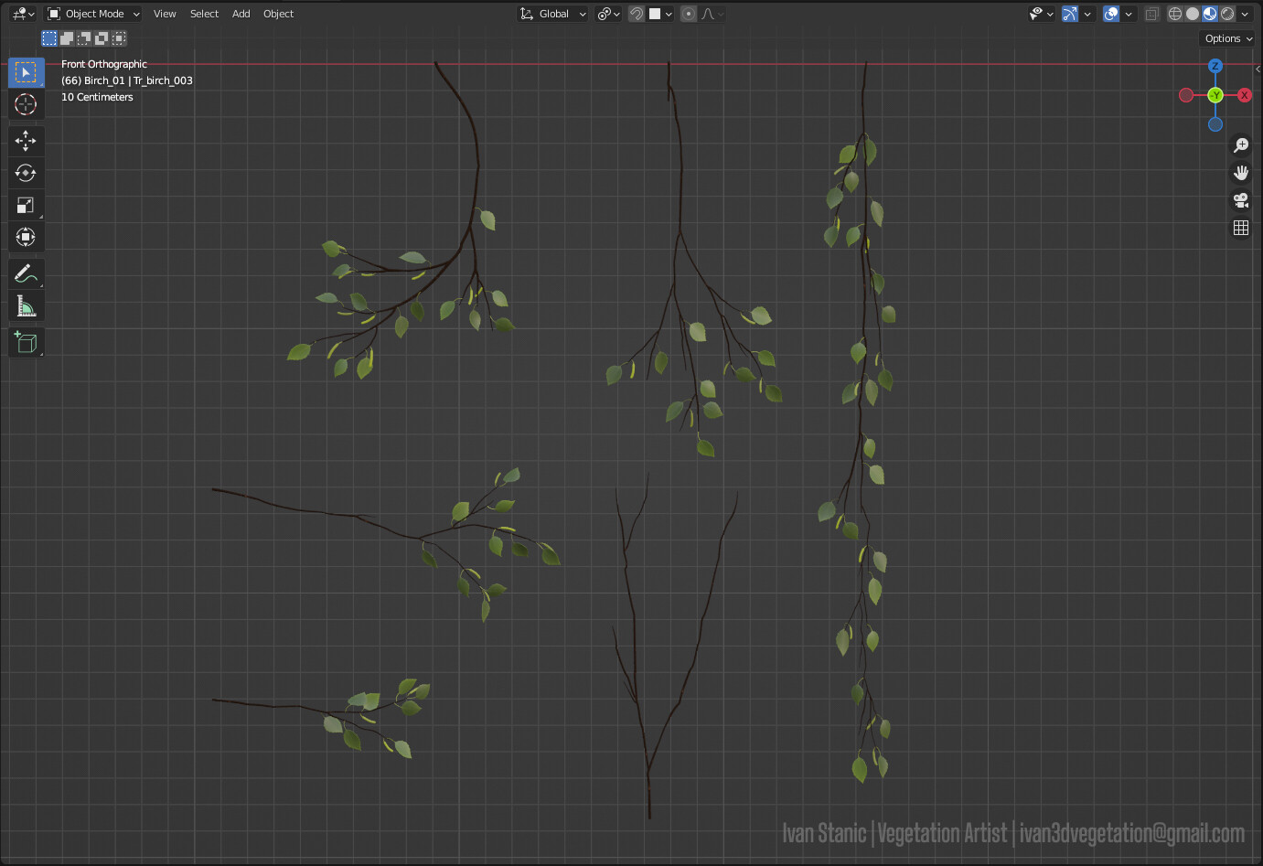 Ivan Stanic - Weeping Birch Tree