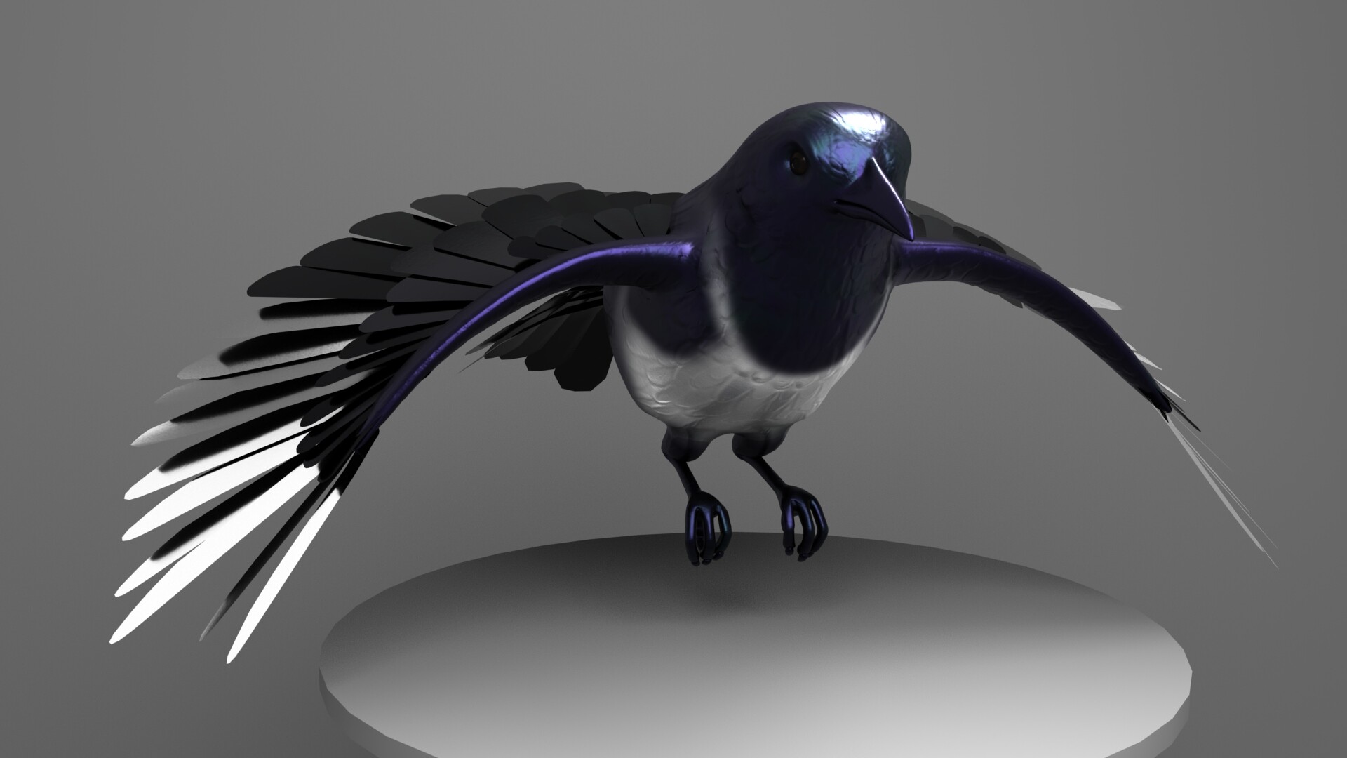 Cassie Duncan - Bird Rig: Tin-Pie