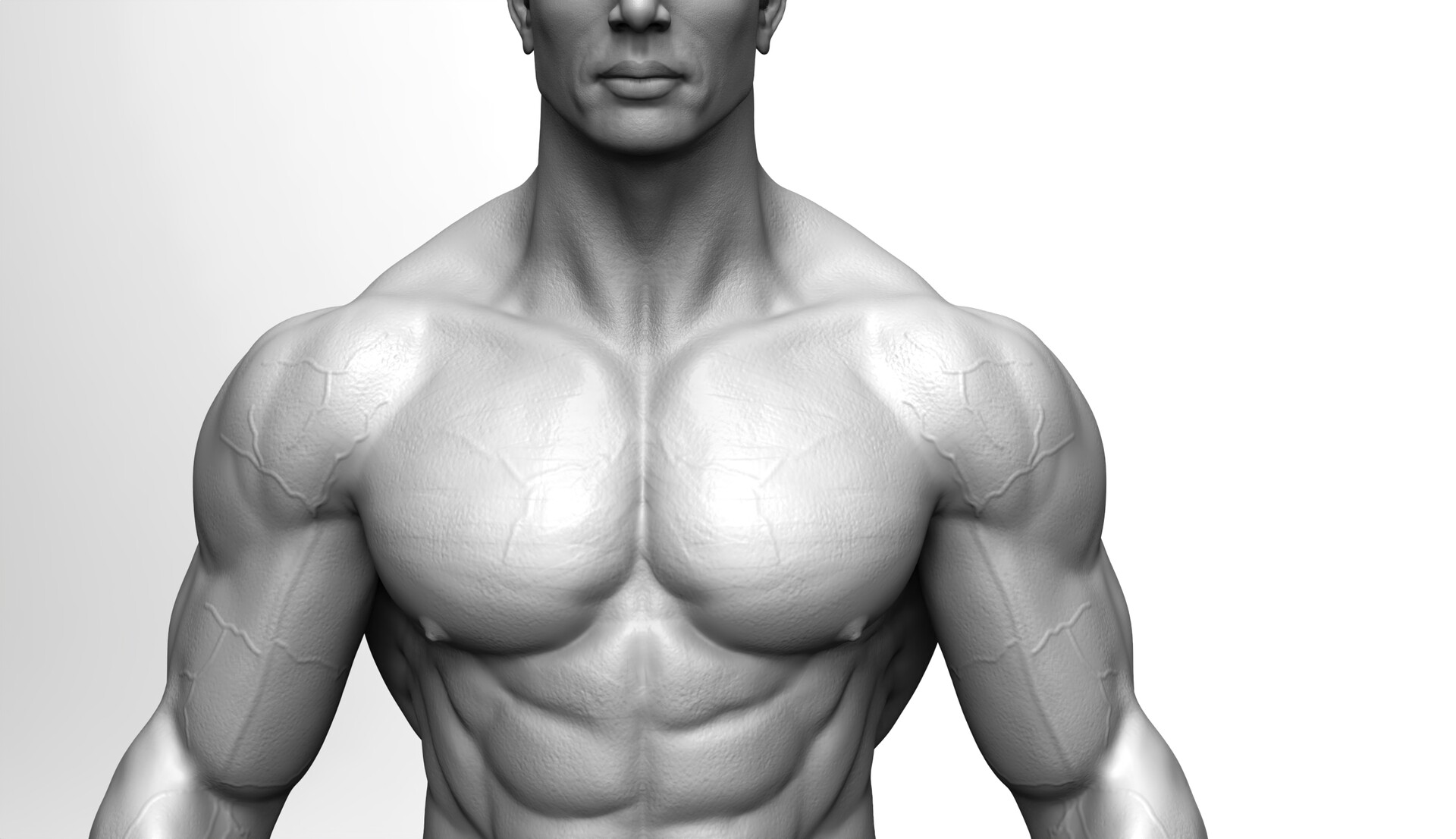 sculptdigitalart - 3D bodybuilder character with details