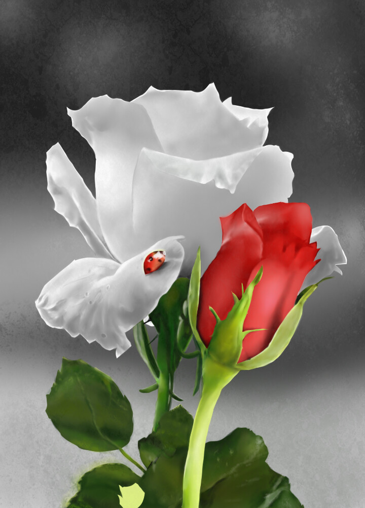 ArtStation - Just Rose, Realism.