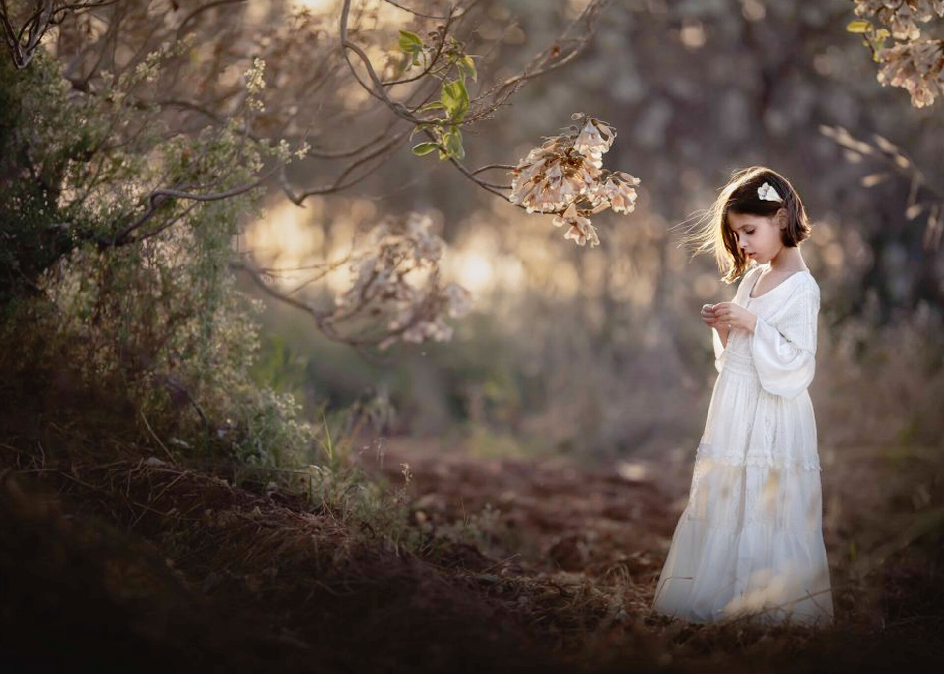 ArtStation - Image editing