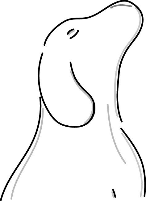 ArtStation - Line Art Dog