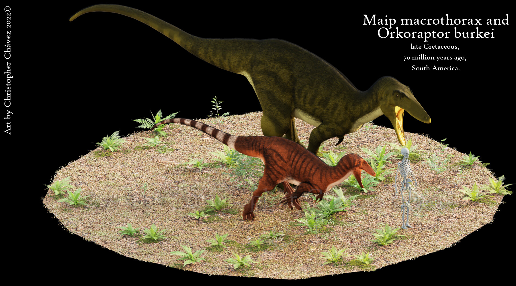 Megaraptor Size Compared To Human