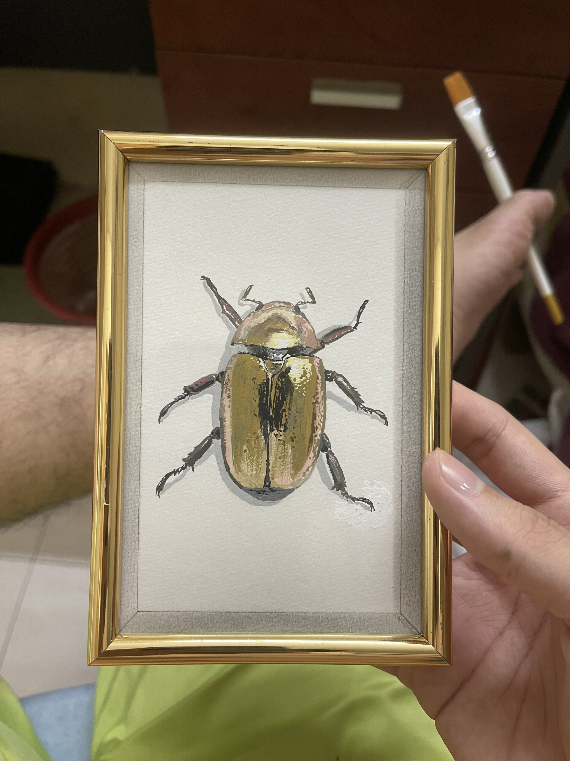 how to draw golden beetle