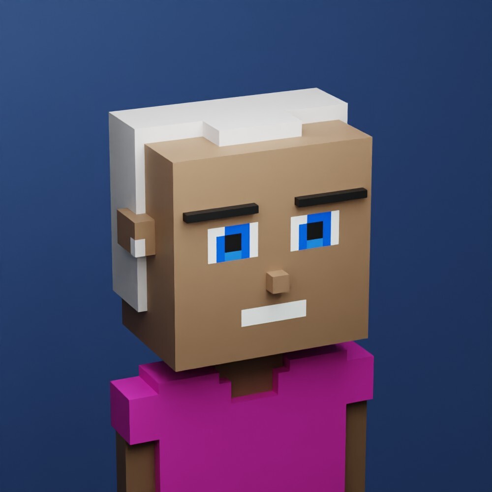 ArtStation - NFT Art Design: Voxel Avatars, 3D NFT Collection #4