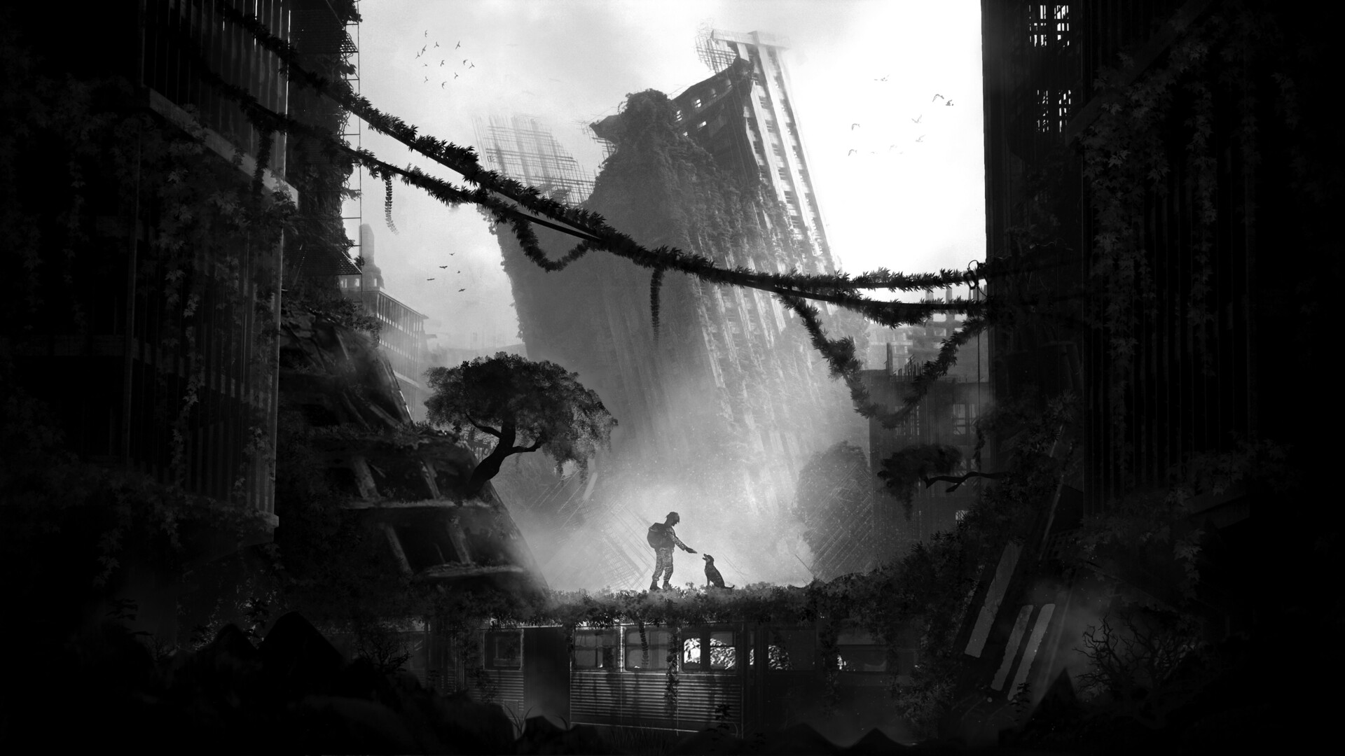 Levin Thomas - The Lone Survivor