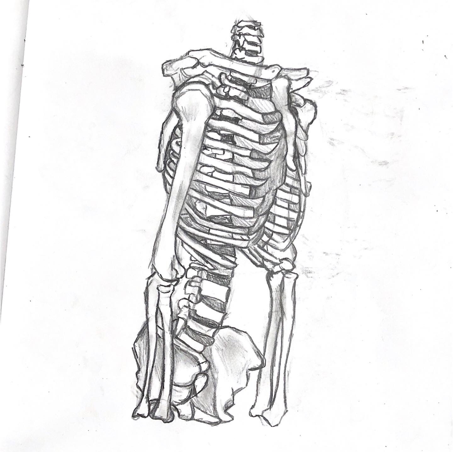 ArtStation - Anatomy Studies