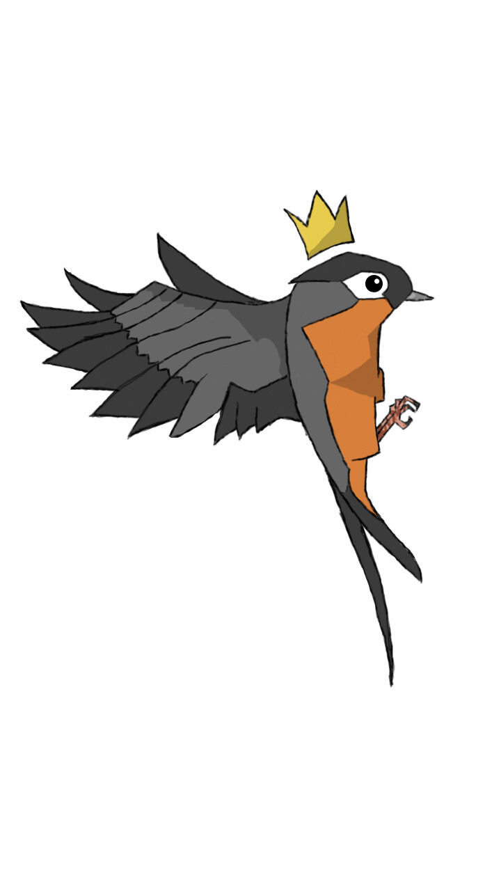 ArtStation - King Bird (Training)