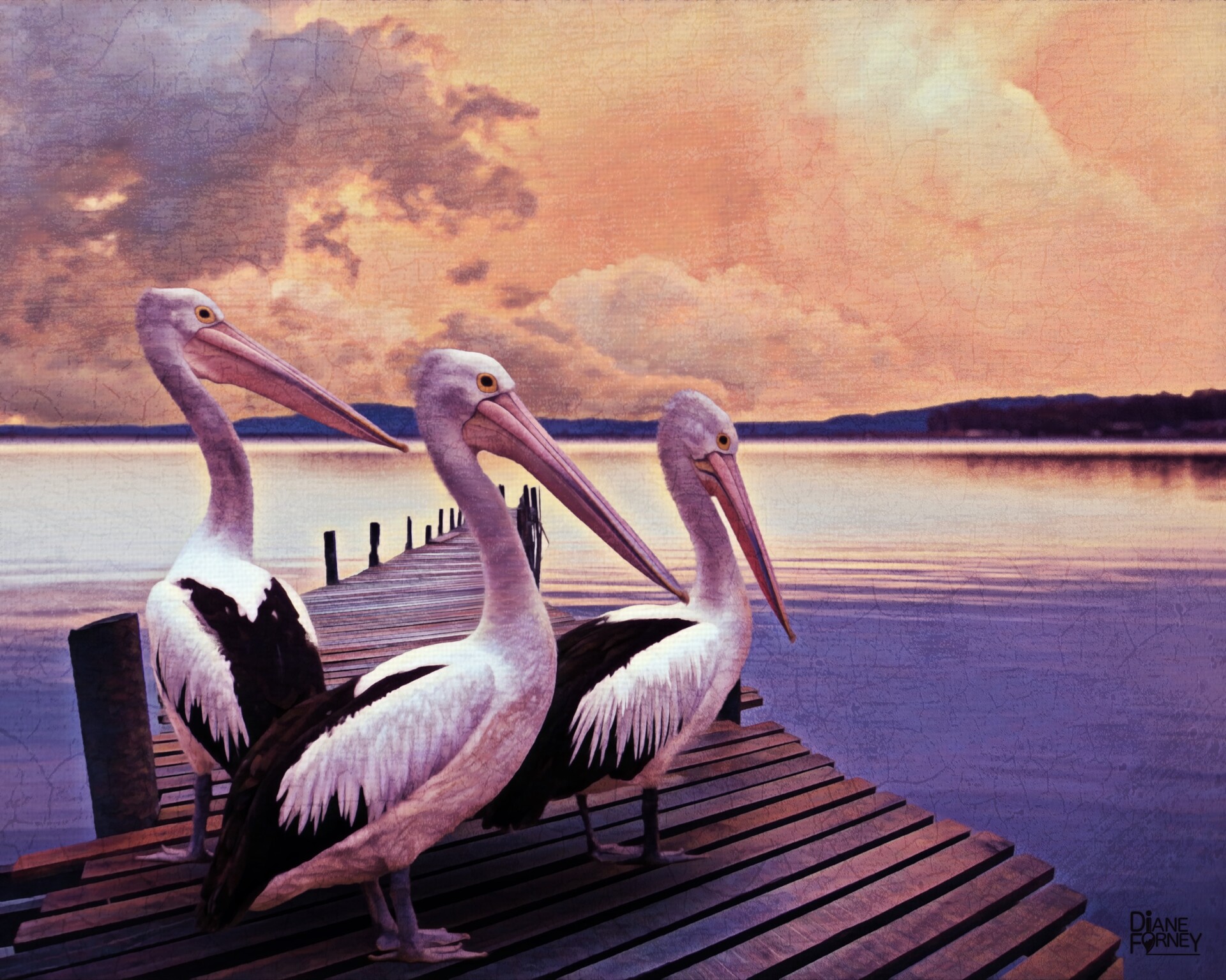 ArtStation - Pelicans at Dawn