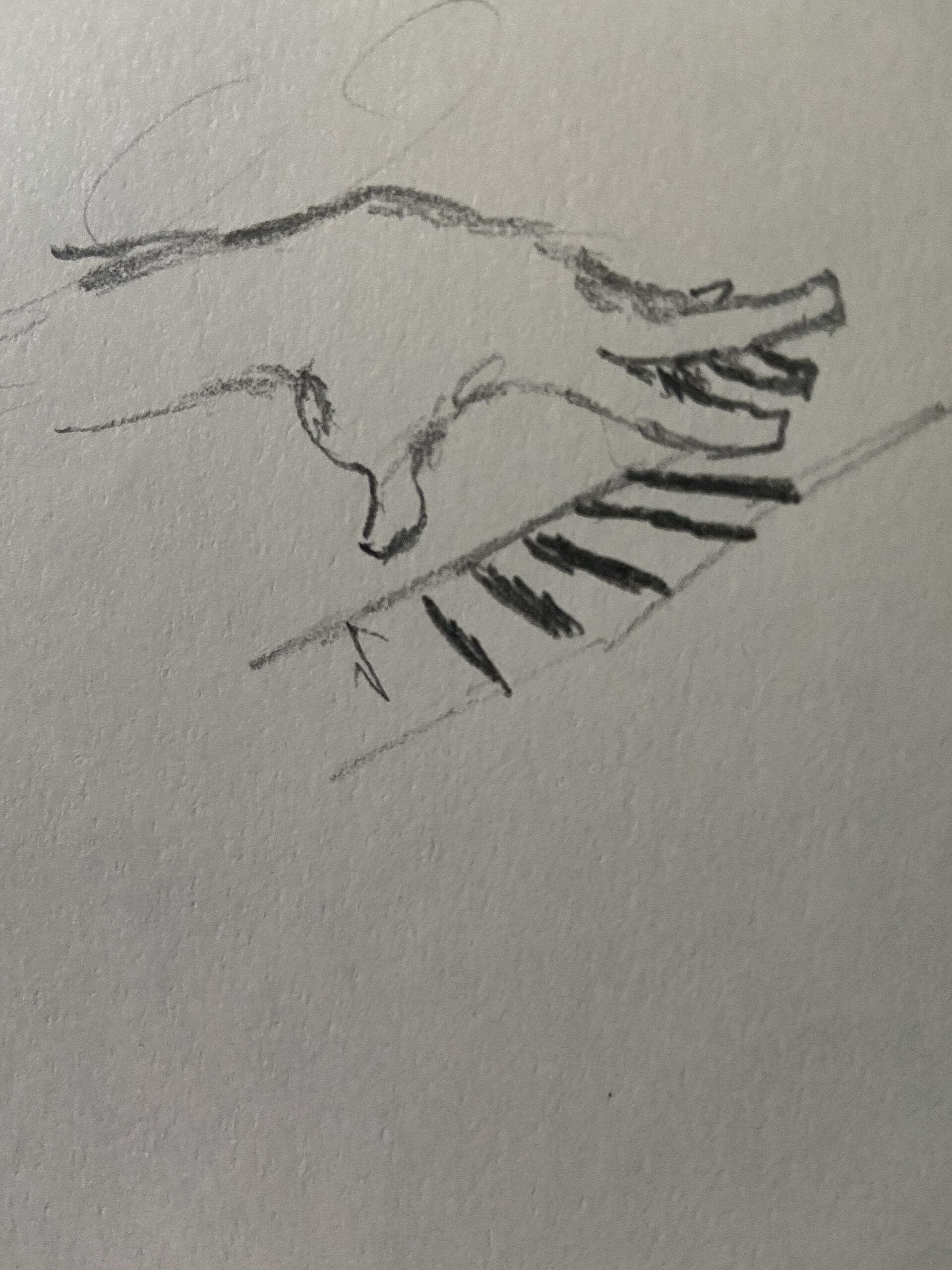 ArtStation - Hand warm up sketch. Enjoy