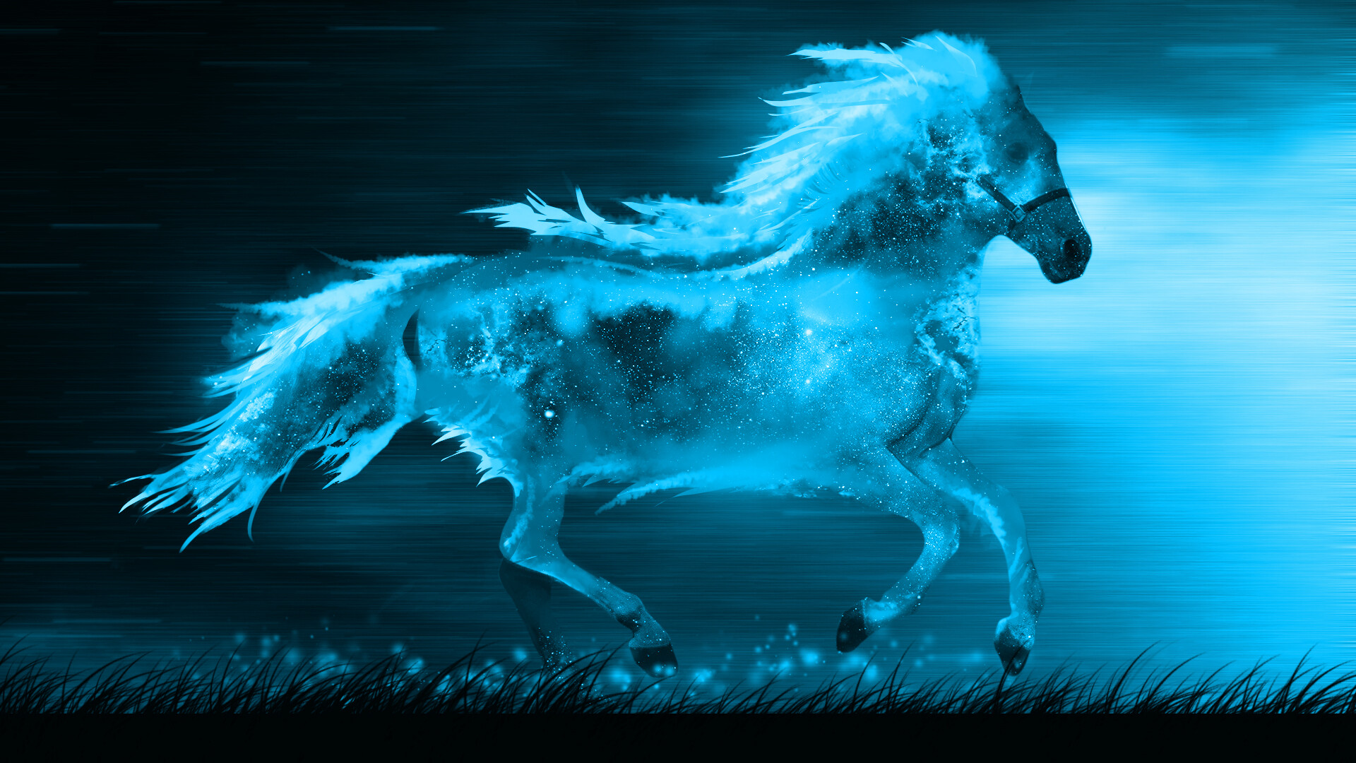 Blue Horse Background