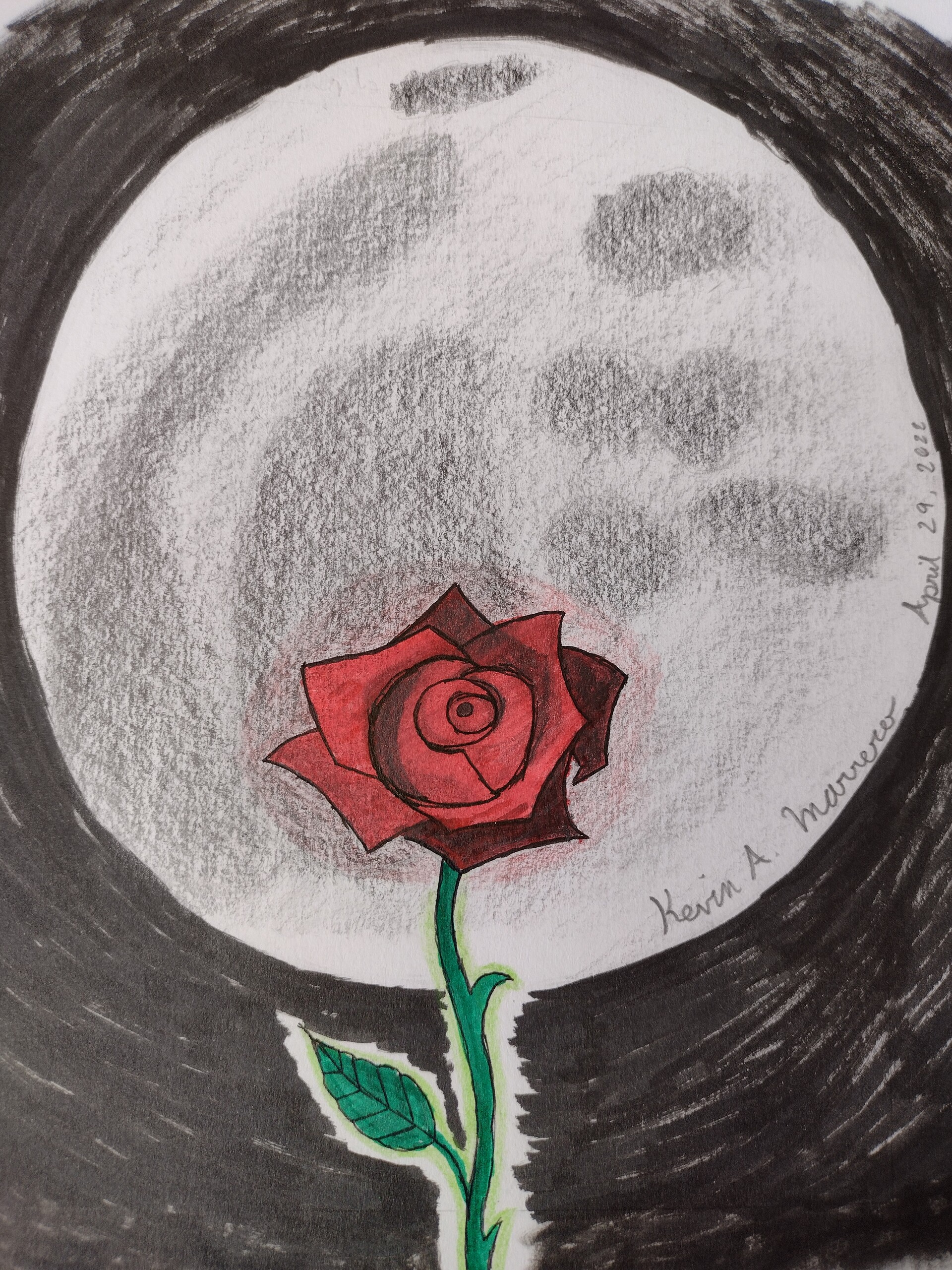 ArtStation - Submission - Midnight Rose