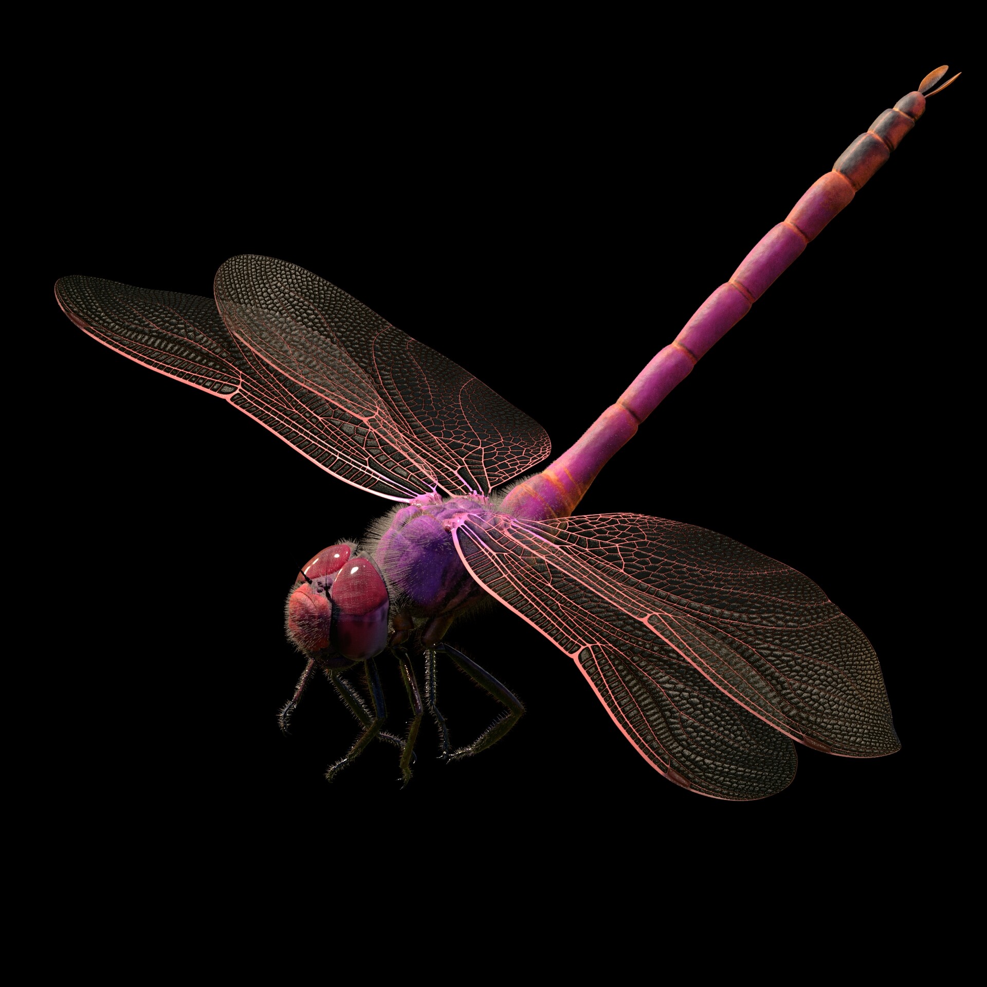ArtStation - dragon fly texturing and lookdev