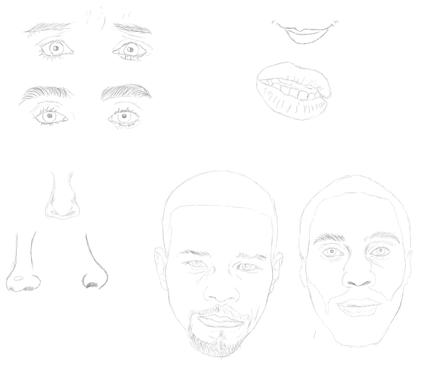 ArtStation - 12 Estudio Práctico de Anatomía en Modelo: Facciones del ...