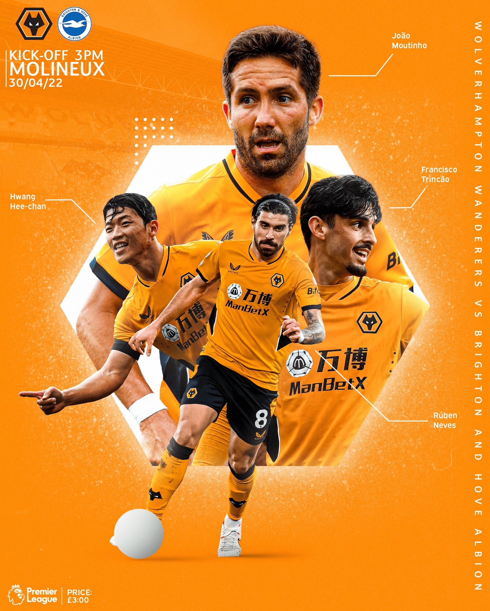 ArtStation - Wolves programme cover concept