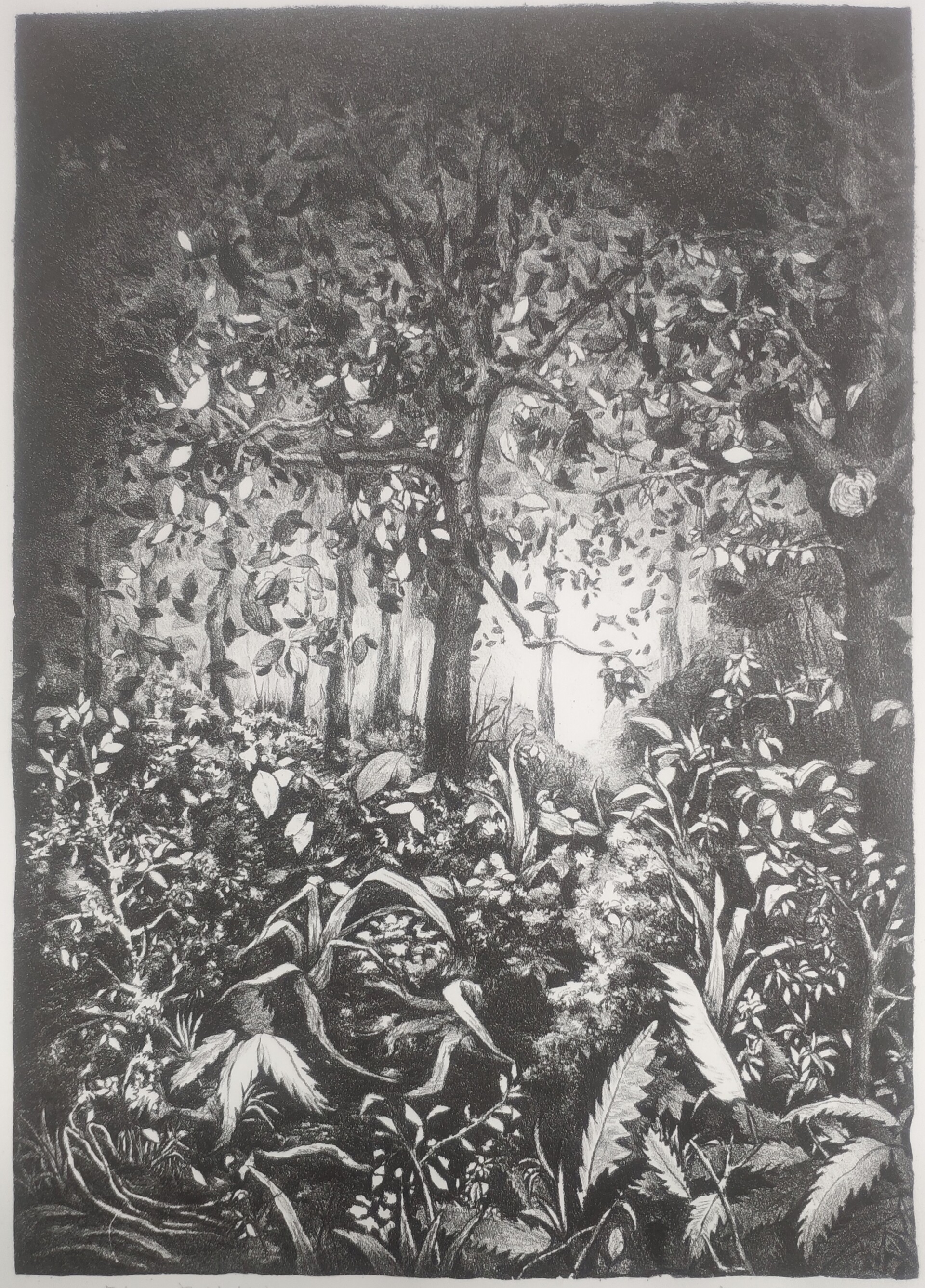 ArtStation - Dense forest