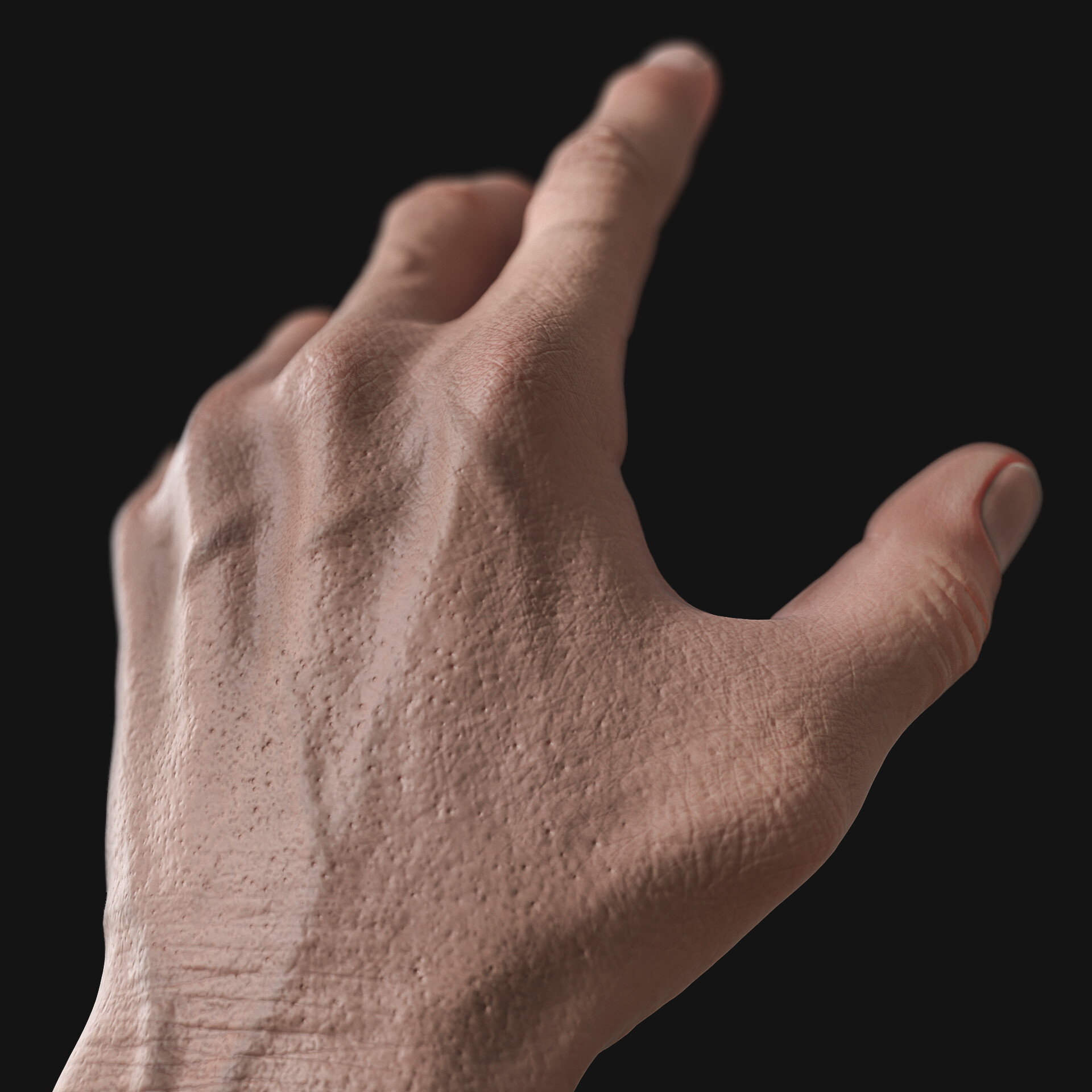 Gagik Zakaryan - Human Hand