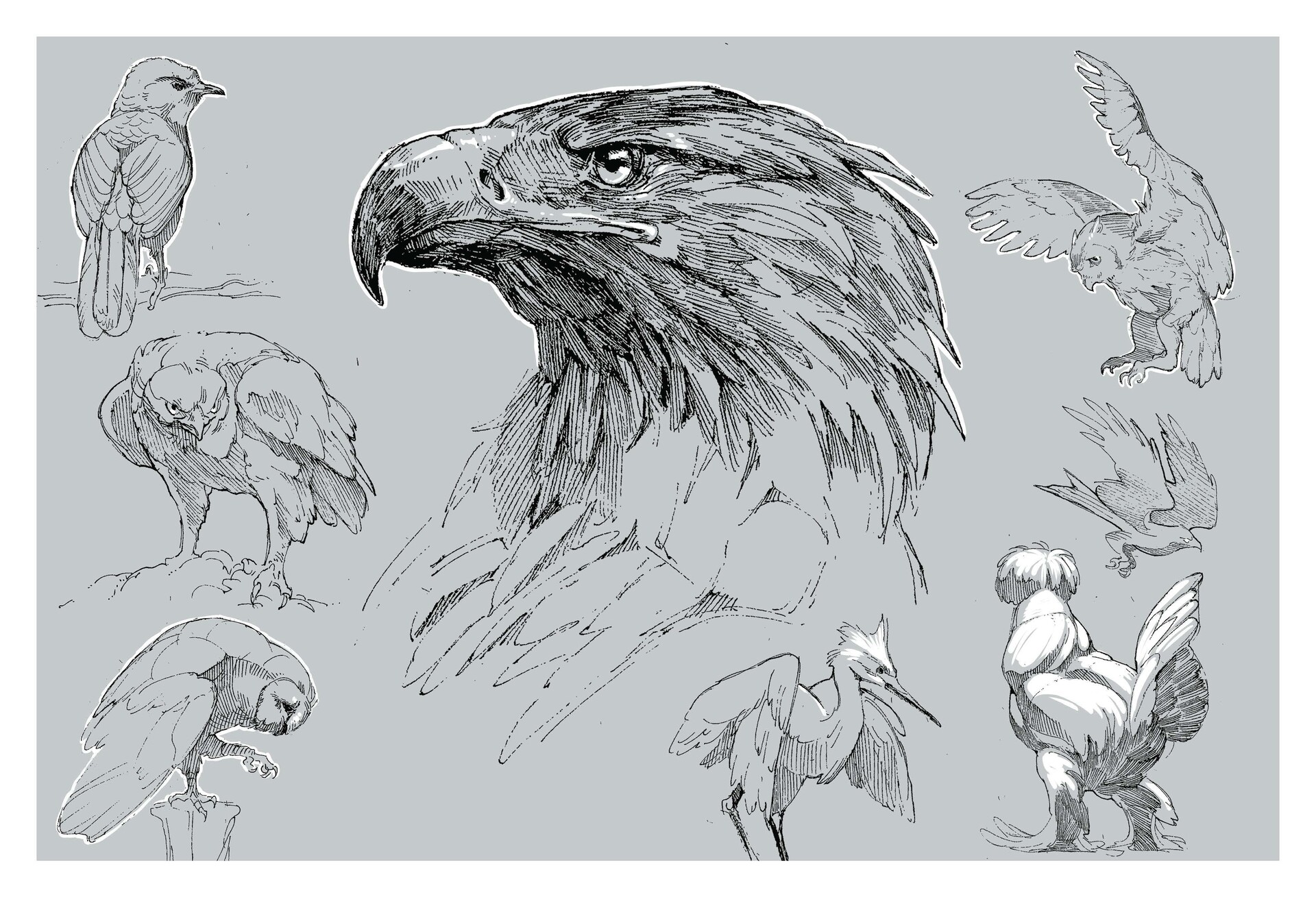 Beatrice Woodward - FND1 Sketchbook