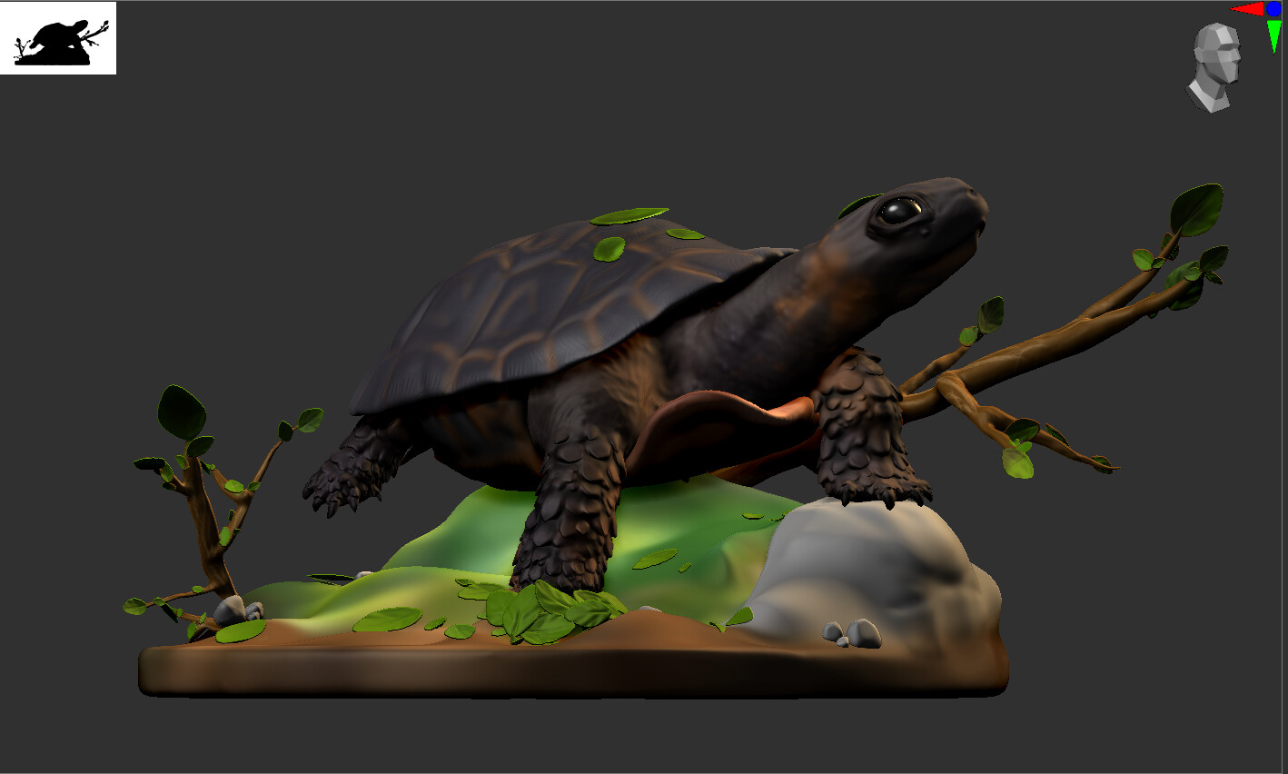 ArtStation - Bog Turtle - Organic Modeling 2022