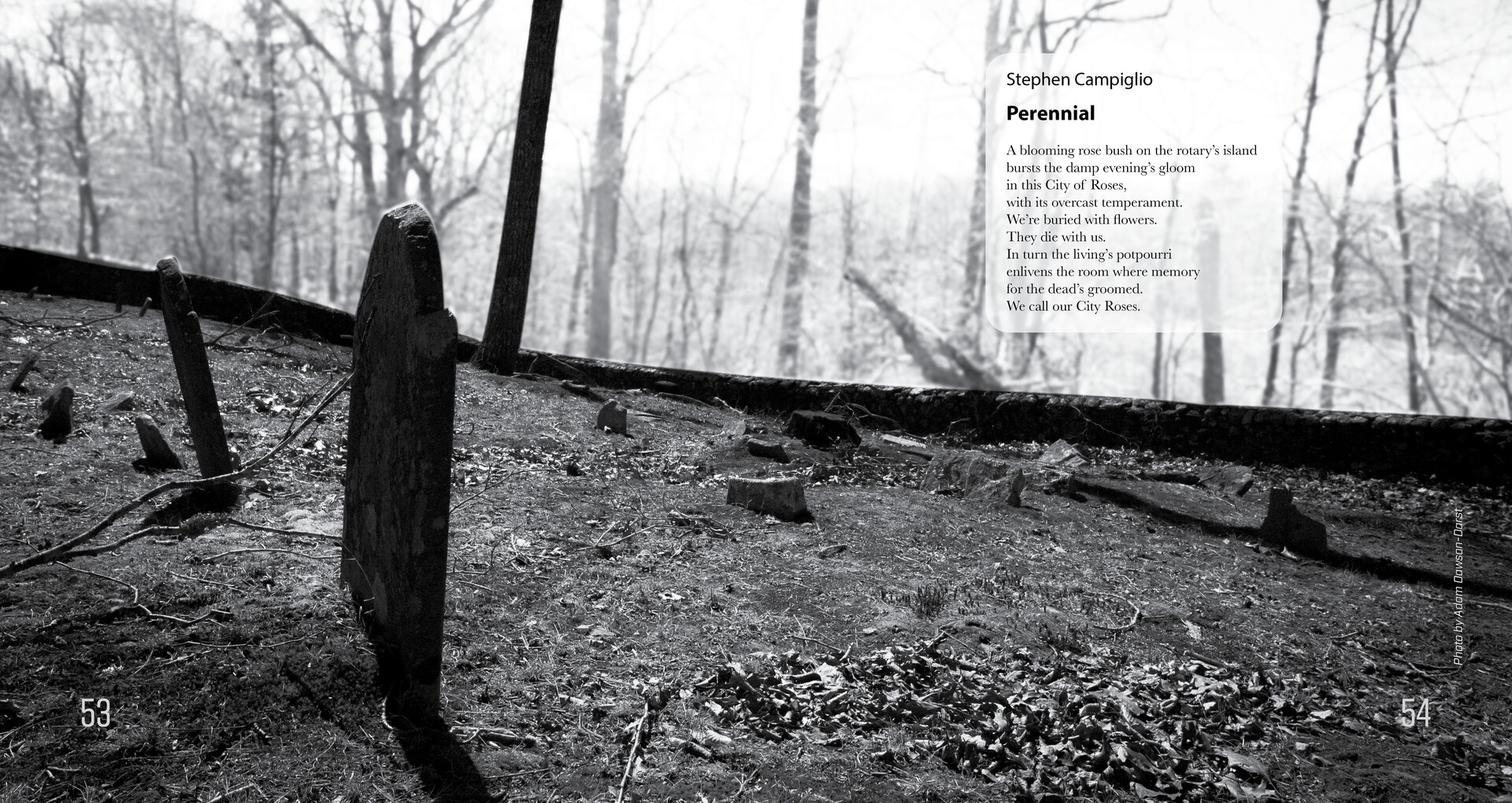 DreamingRed - Shapes 22 - First and Last Spreads