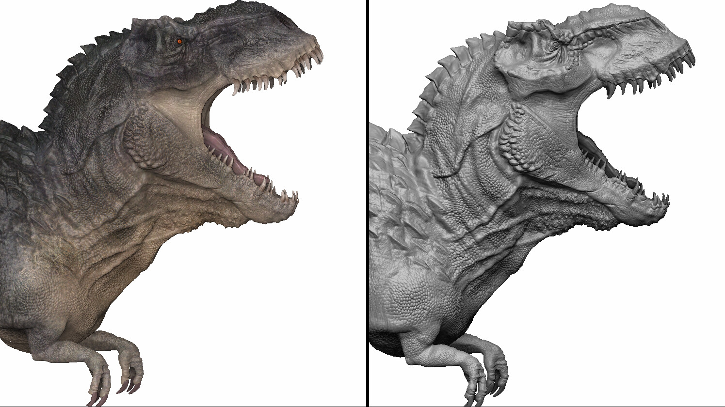 Pedro Oliveira - Rex Study