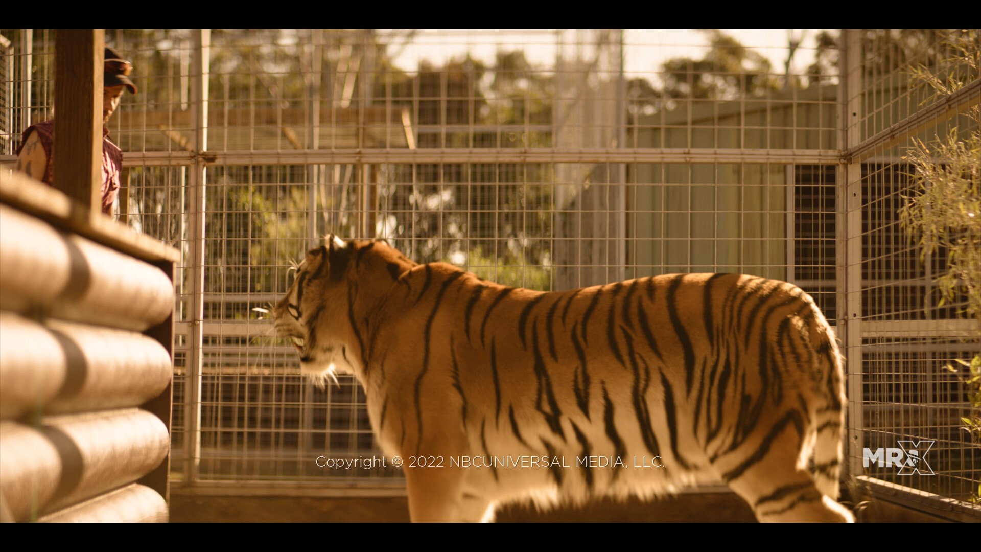 Joe vs Carol by Alex James — ProUser.Me