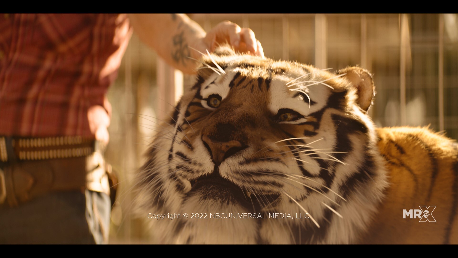 Joe vs Carol by Alex James — ProUser.Me