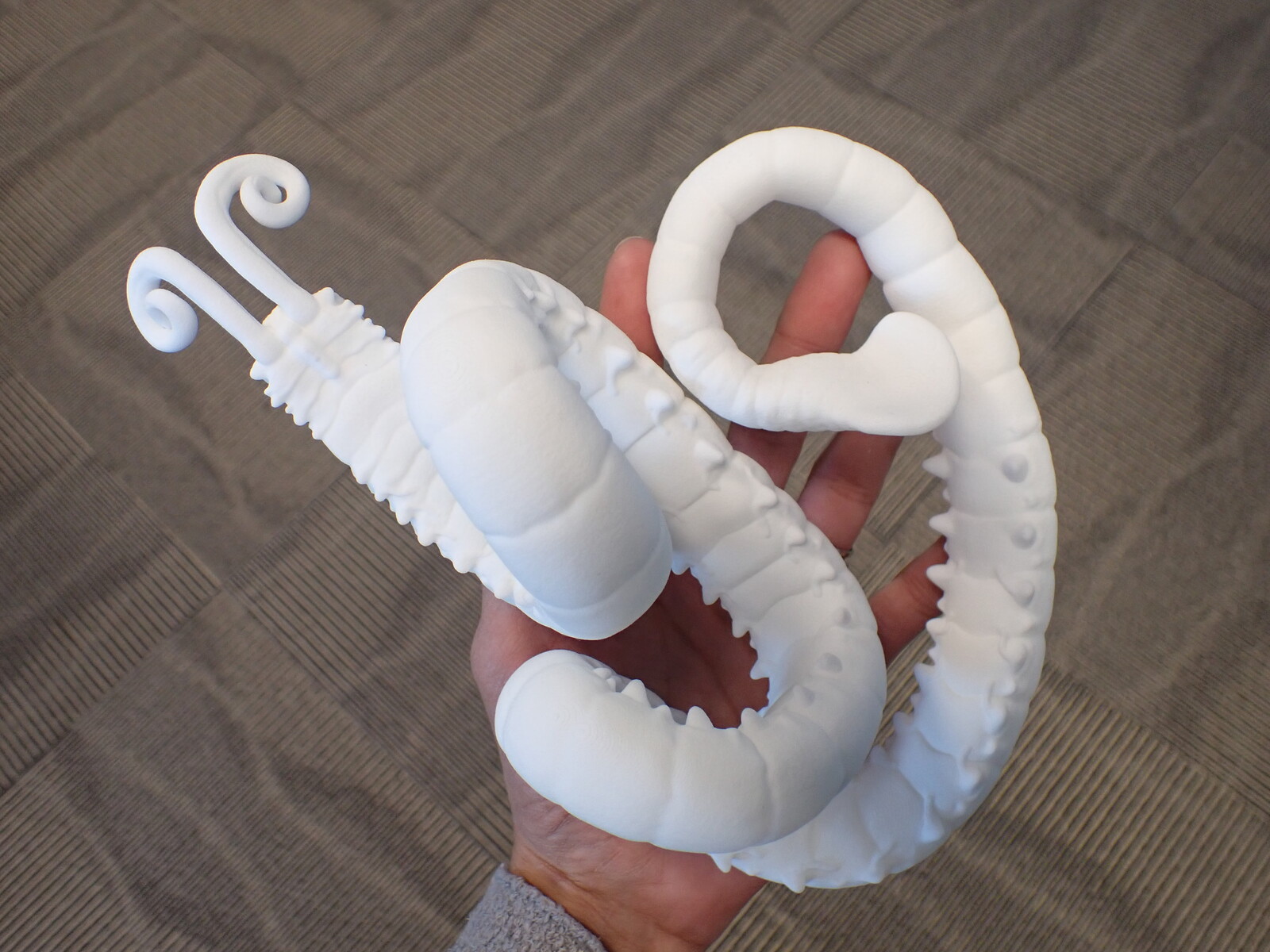 Robert Gutierrez - 3D Prints of various marine organisms