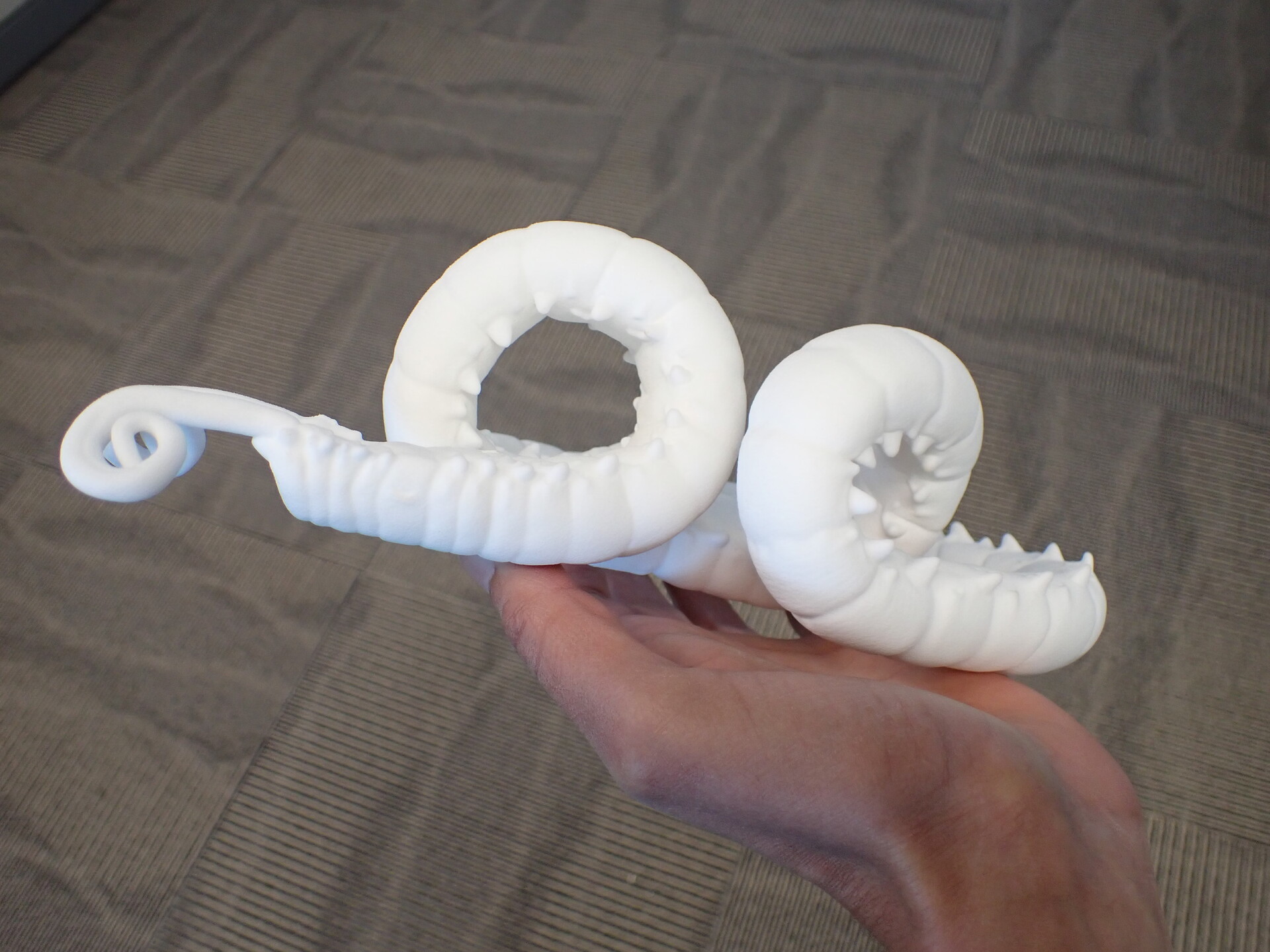 Robert Gutierrez - 3D Prints of various marine organisms