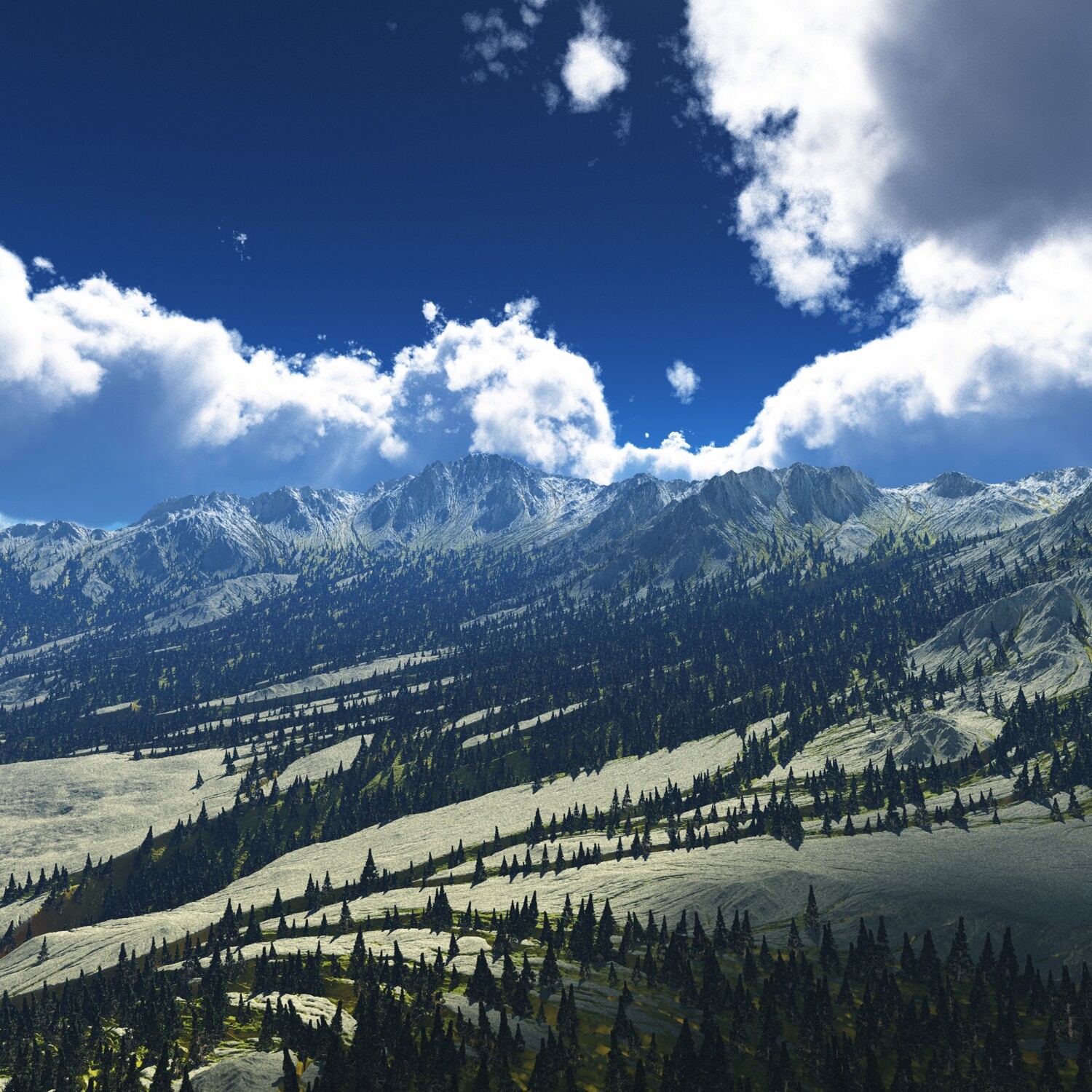 ArtStation - Terrain test renders