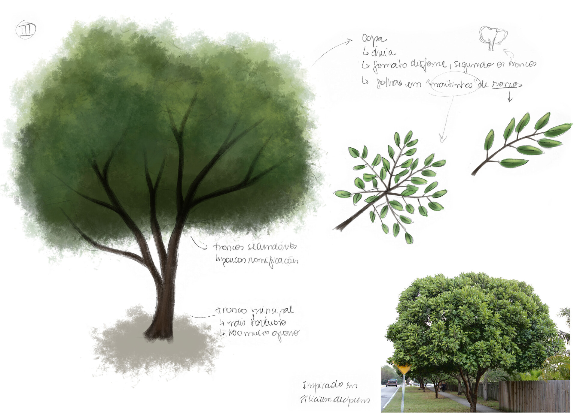 Caroline Lyssa Kuraoka - Ben & Buzz (TCC)