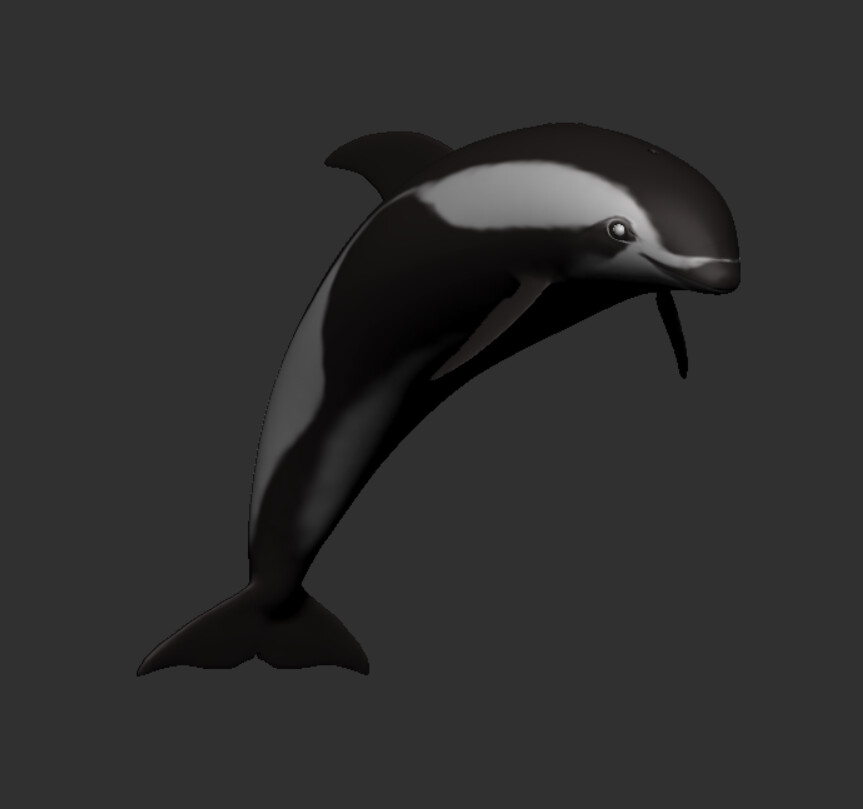 ArtStation - Hourglass Dolphin