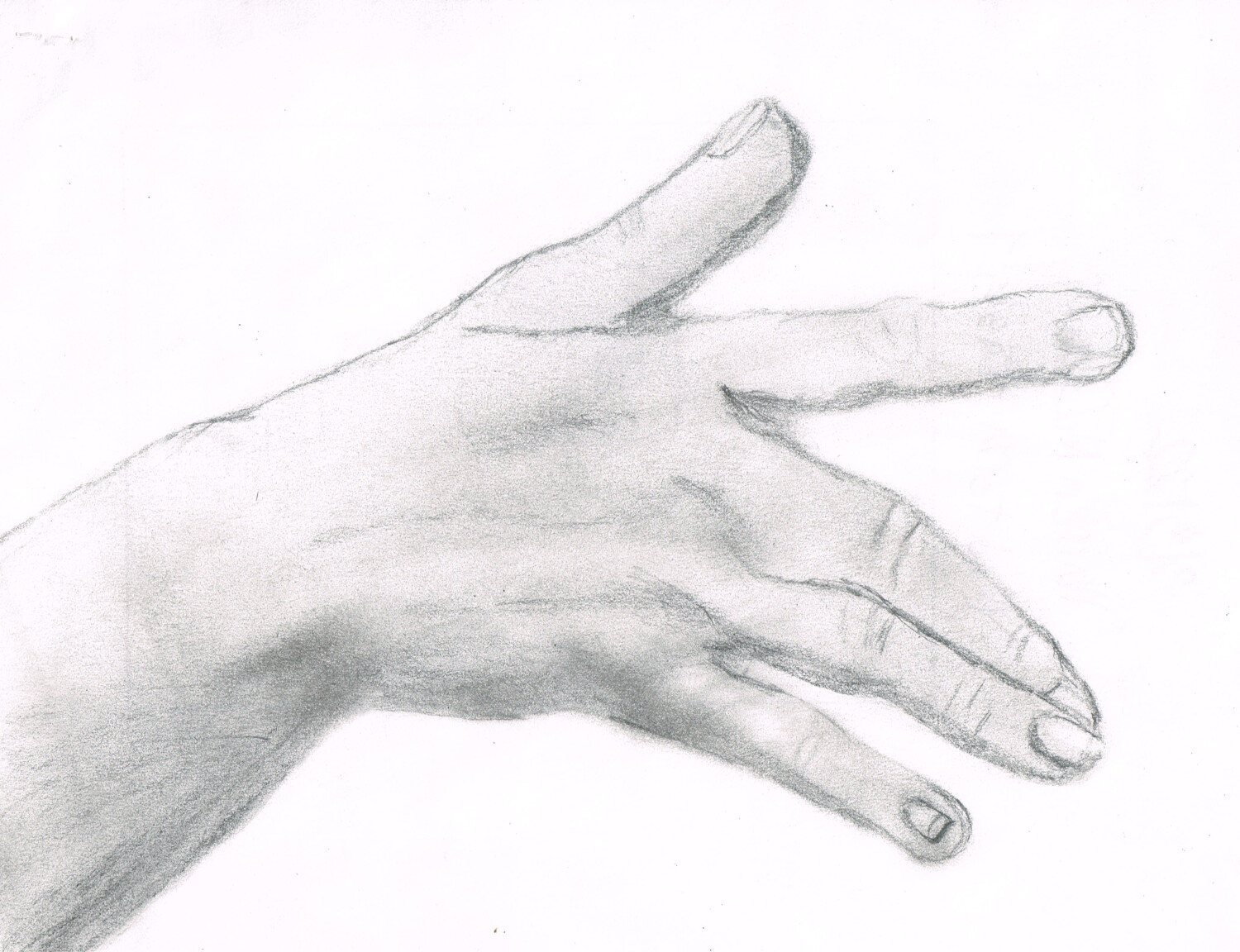 ArtStation - Hand Study