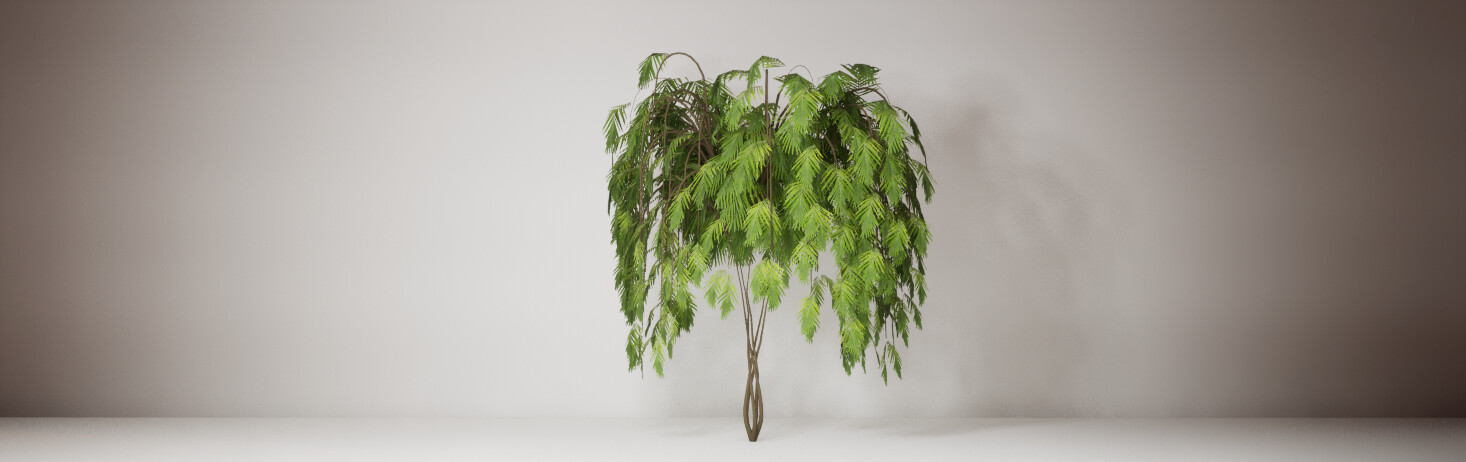 bryar shapur - Tree Models