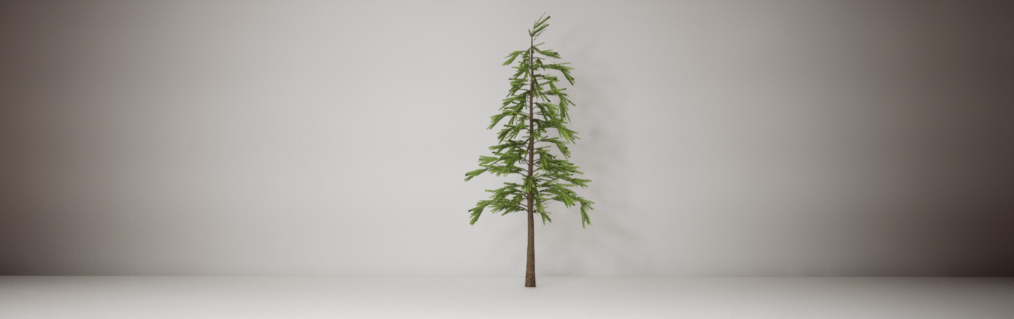 bryar shapur - Tree Models