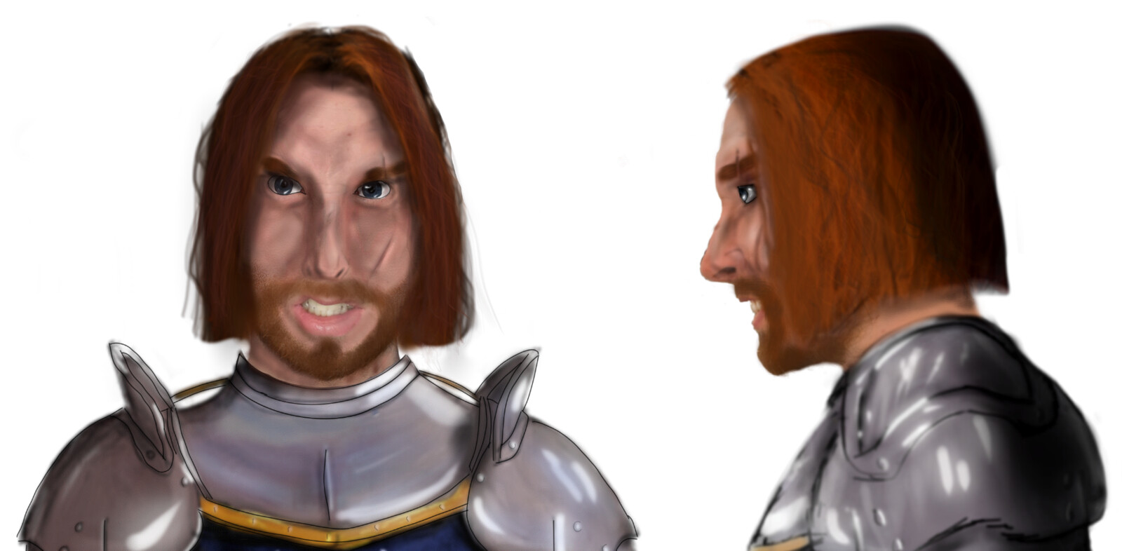 Paul Ramage - Knight Bust