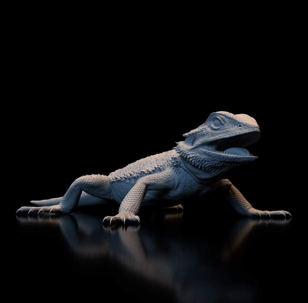 ArtStation - Rex Bearded Dragon WIP