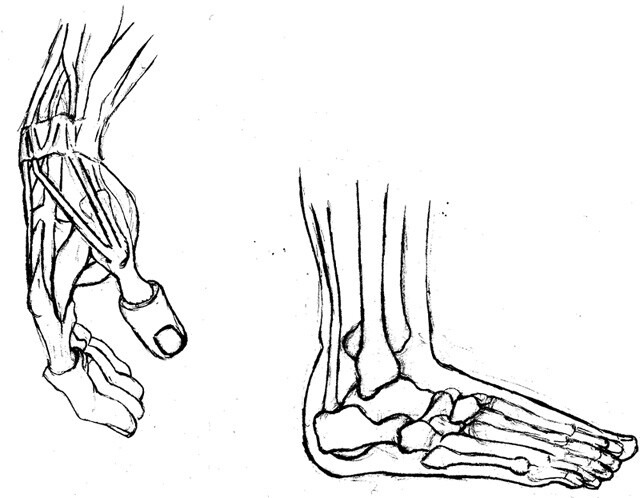 ArtStation - Anatomy Hand and Foot Practice